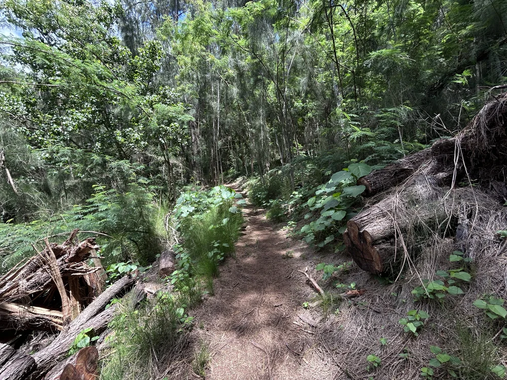 Hiking the Hauʻula Loop Trail on the North Shore of Oʻahu, Hawaiʻi ...