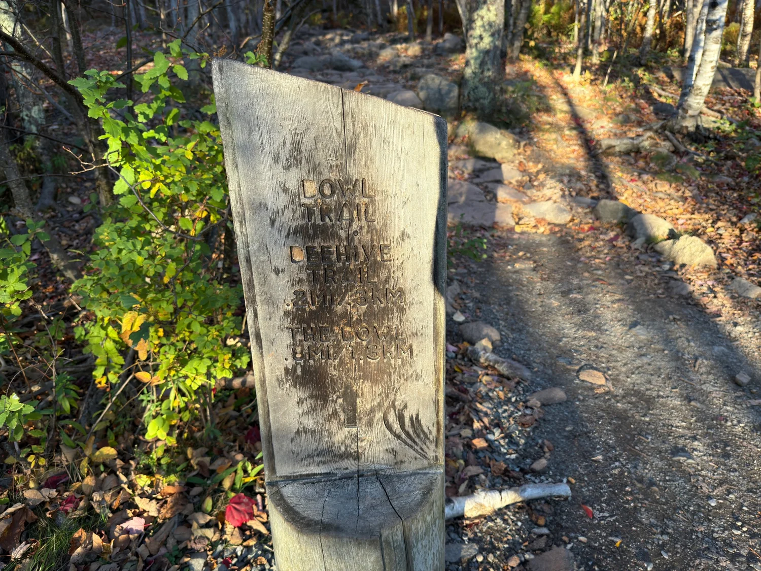 Hiking the Beehive Trail in Acadia National Park — noahawaii