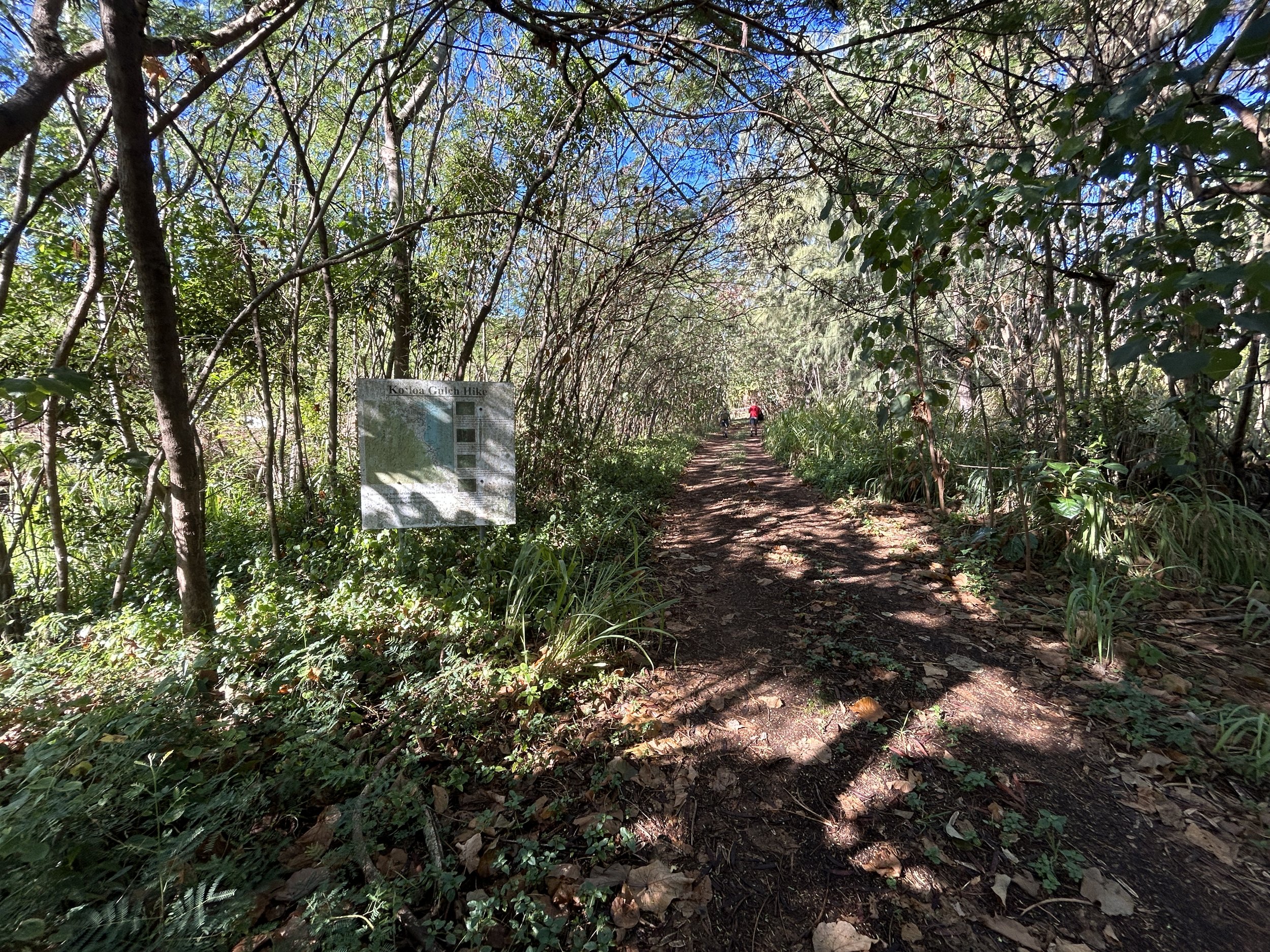 Hiking the Kōloa Gulch Trail on Oʻahu, Hawaiʻi — noahawaii