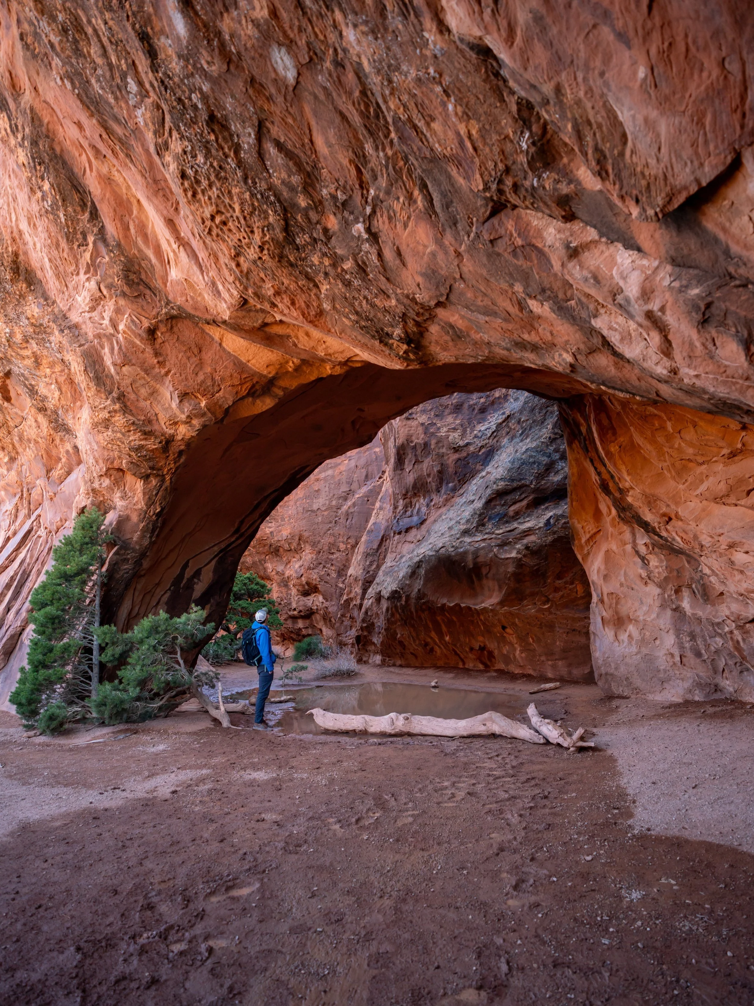 15 Best Things to Do in Arches National Park — noahawaii
