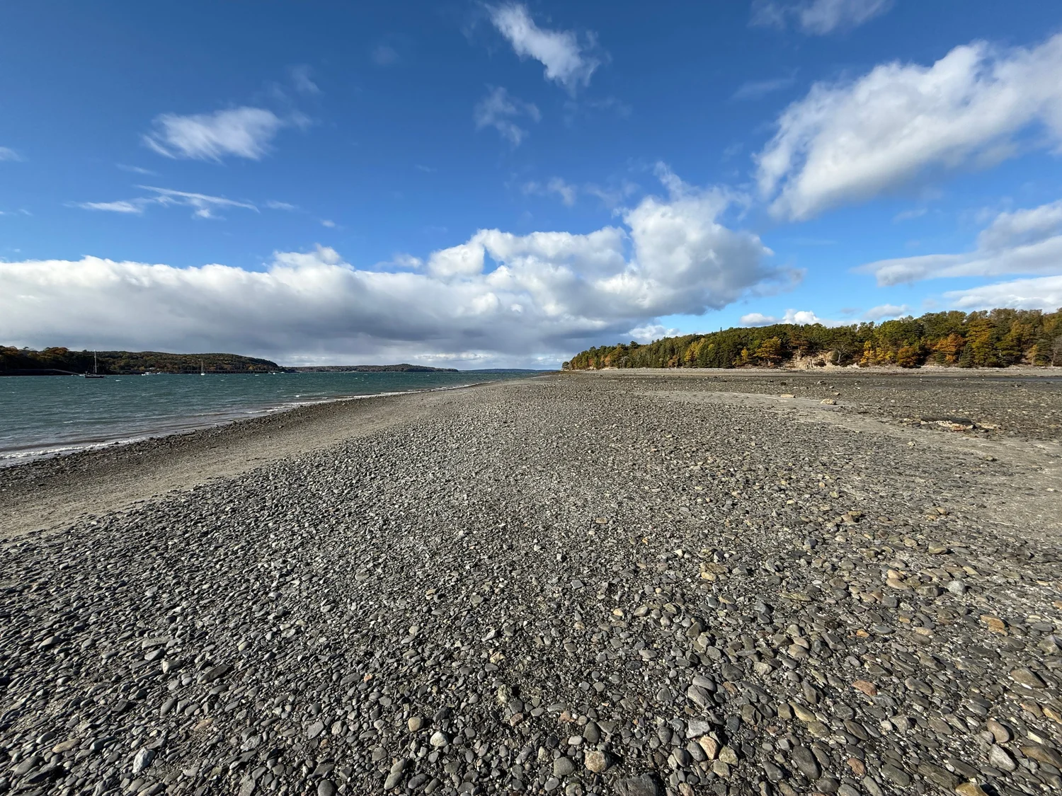 Hiking the Bar Island Trail in Acadia National Park — noahawaii