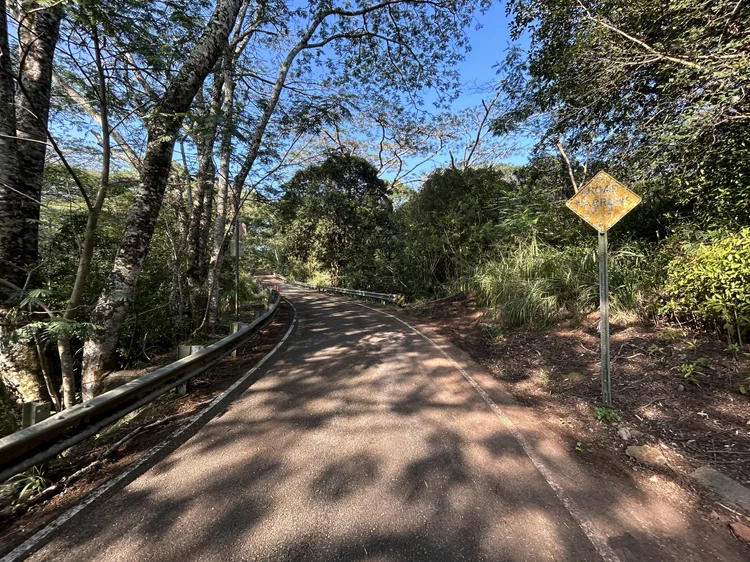 Hiking the Koʻolau Summit Trail (KST) North to South on Oʻahu, Hawaiʻi ...