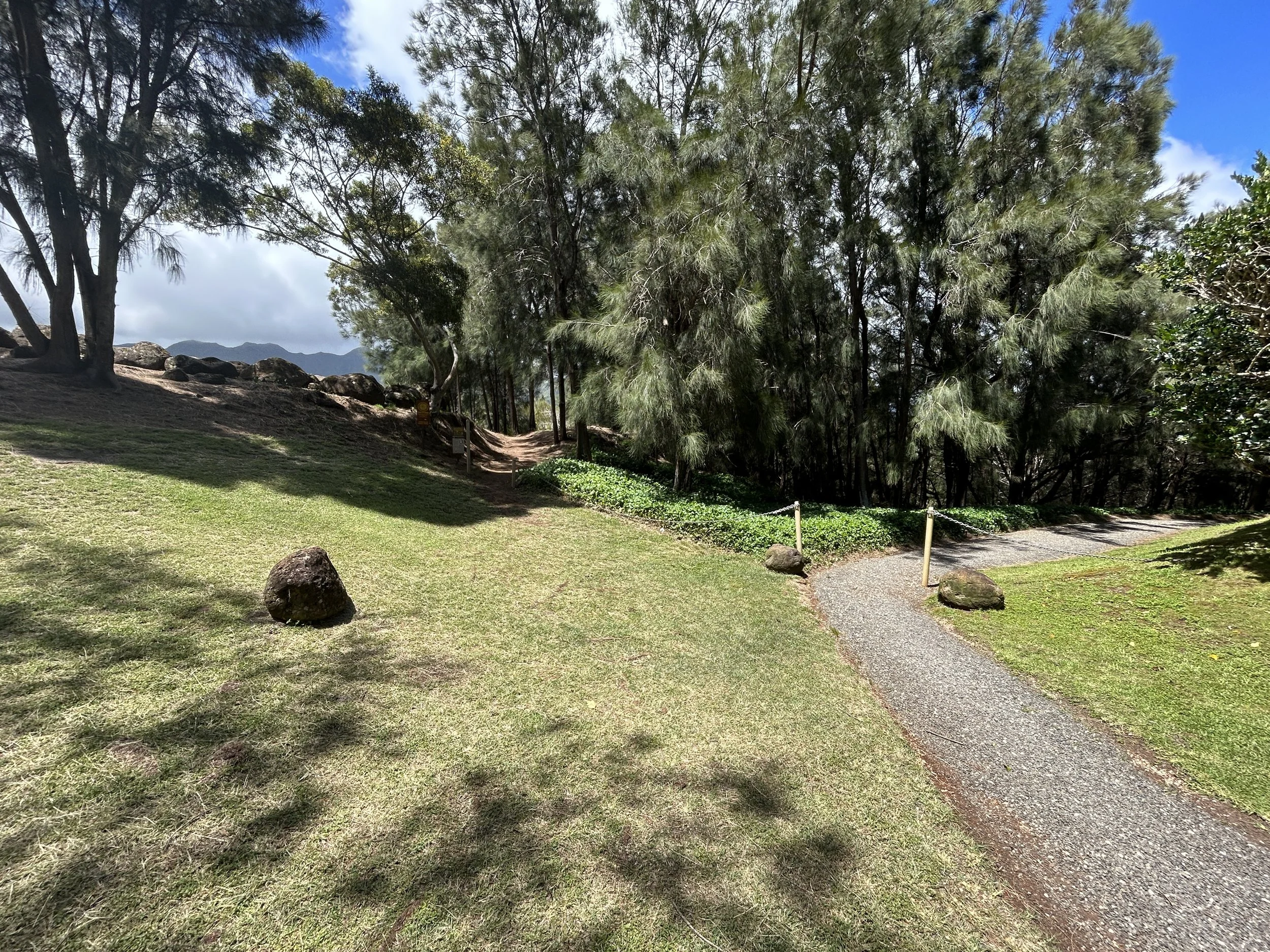 Hiking the Hawaiʻi Loa Ridge Trail on Oʻahu — noahawaii