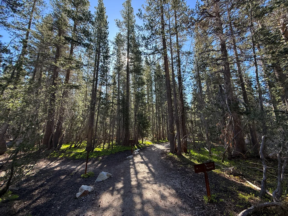 Hiking the Clouds Rest Trail in Yosemite National Park — noahawaii