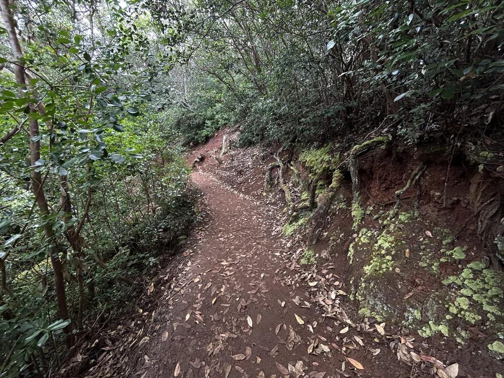 Hiking the Kalauao Falls Loop Trail on Oʻahu, Hawaiʻi — noahawaii