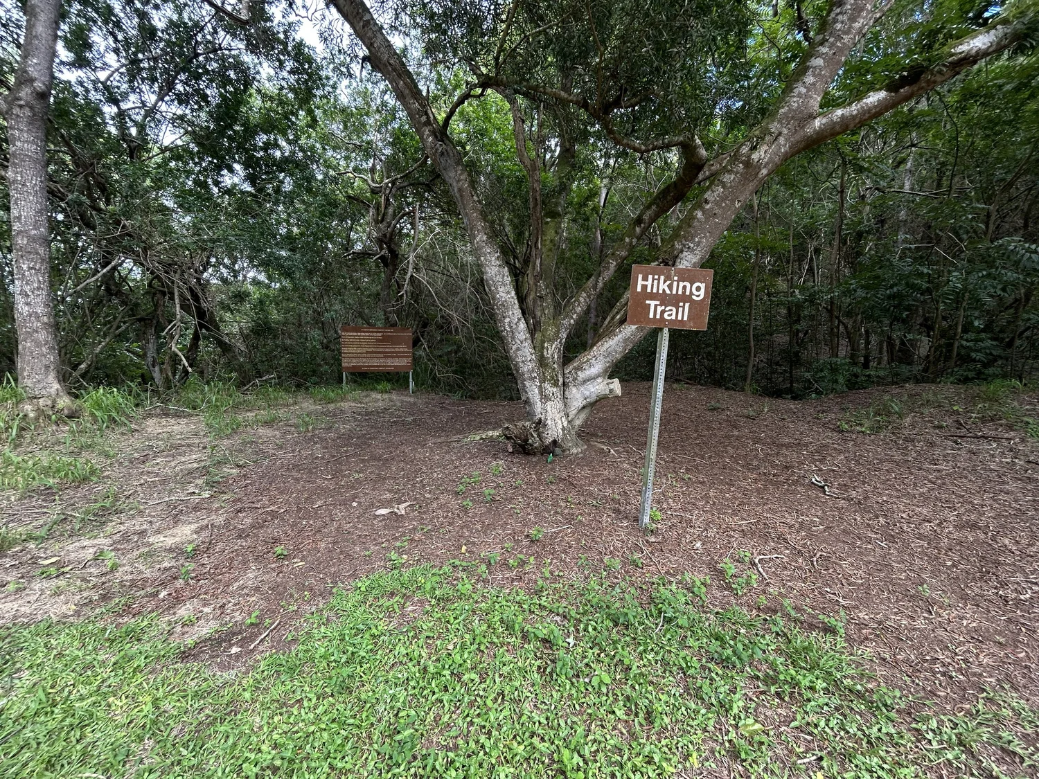 Hiking the Kolekole Trail to Puʻu Hapapa on Oʻahu, Hawaiʻi — noahawaii