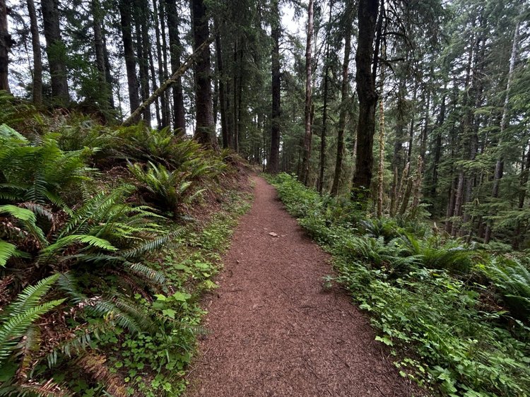 Hiking the Indian Beach Trail on the Oregon Coast — noahawaii
