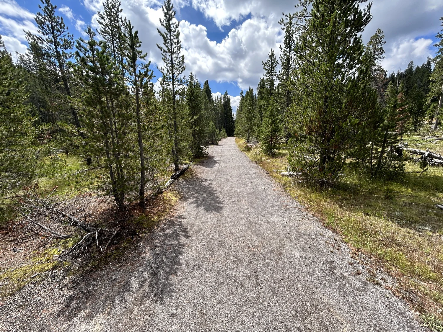 Hiking the Lone Star Geyser Trail in Yellowstone National Park — noahawaii