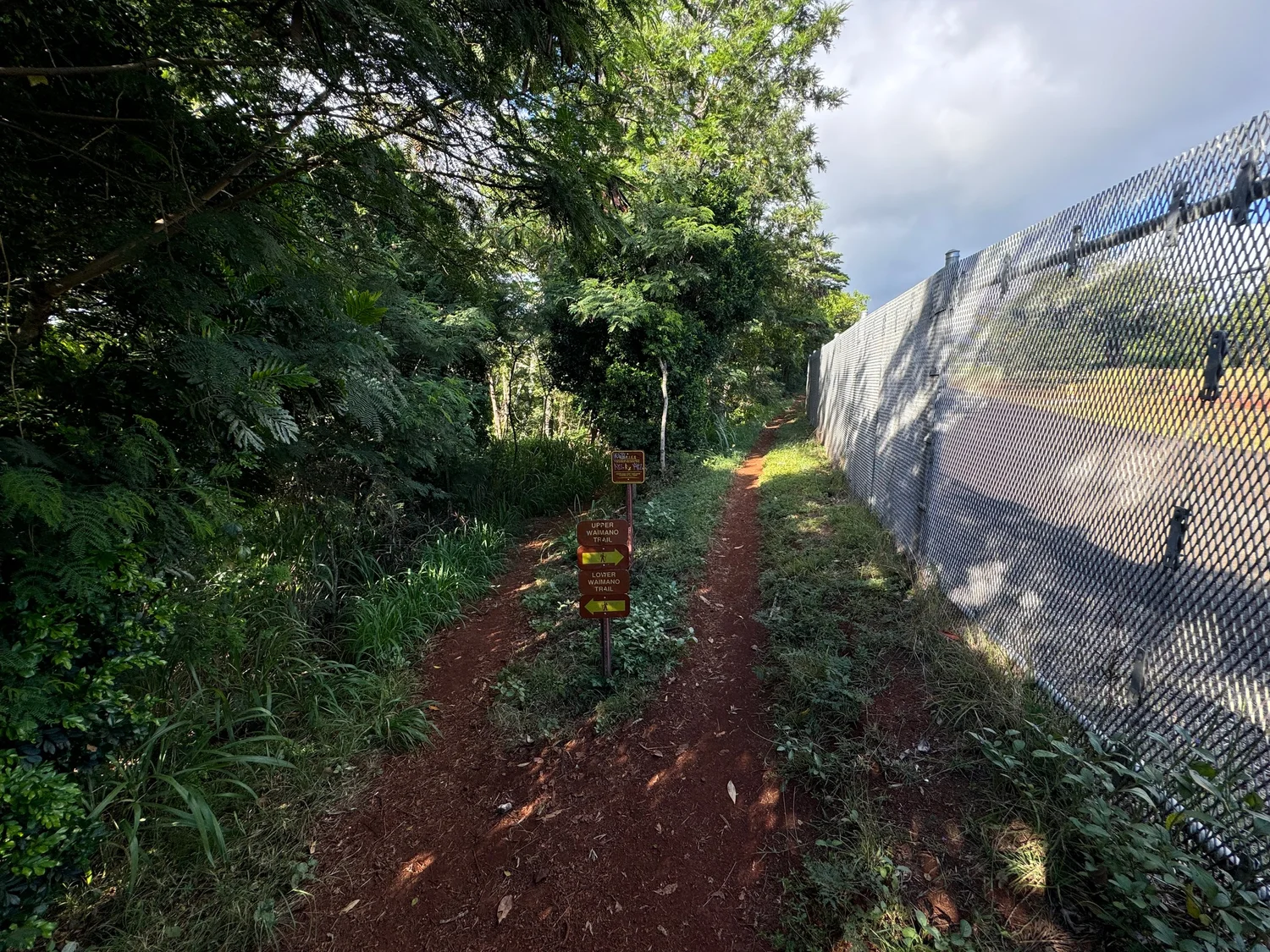 Hiking the Waimano Ridge Trail on Oʻahu, Hawaiʻi — noahawaii