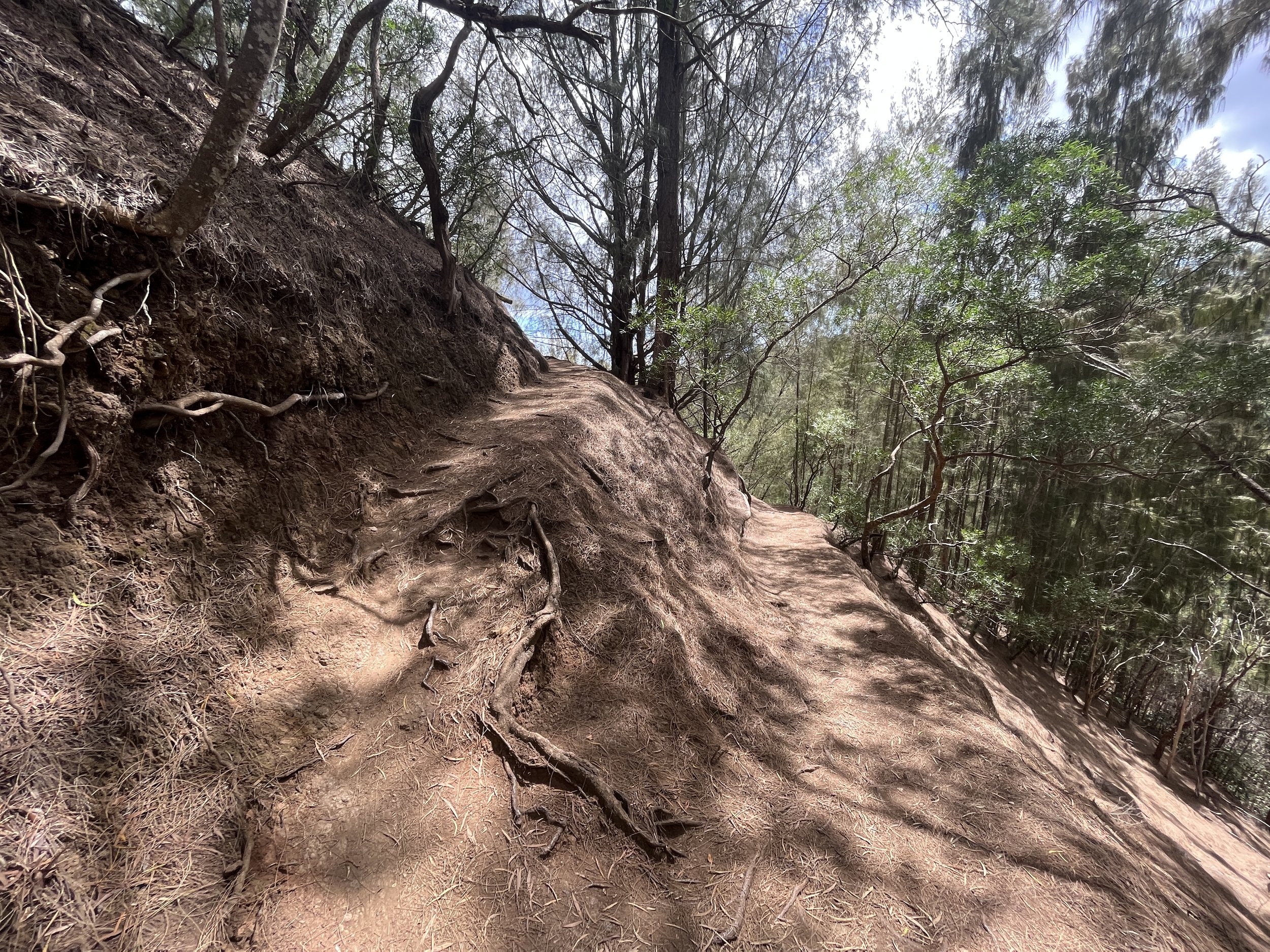 Hiking the Kuliʻouʻou Ridge Trail on Oʻahu — noahawaii
