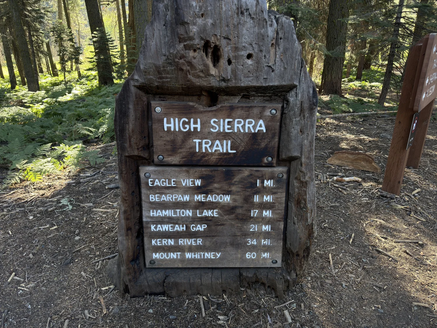 Hiking the Trail of the Sequoias in Sequoia National Park — noahawaii