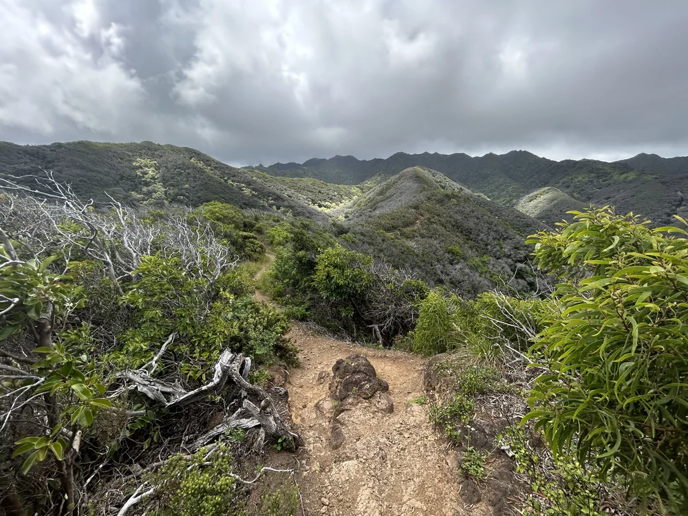 Hiking the Hawaiʻi Loa Ridge Trail on Oʻahu, Hawaiʻi — noahawaii