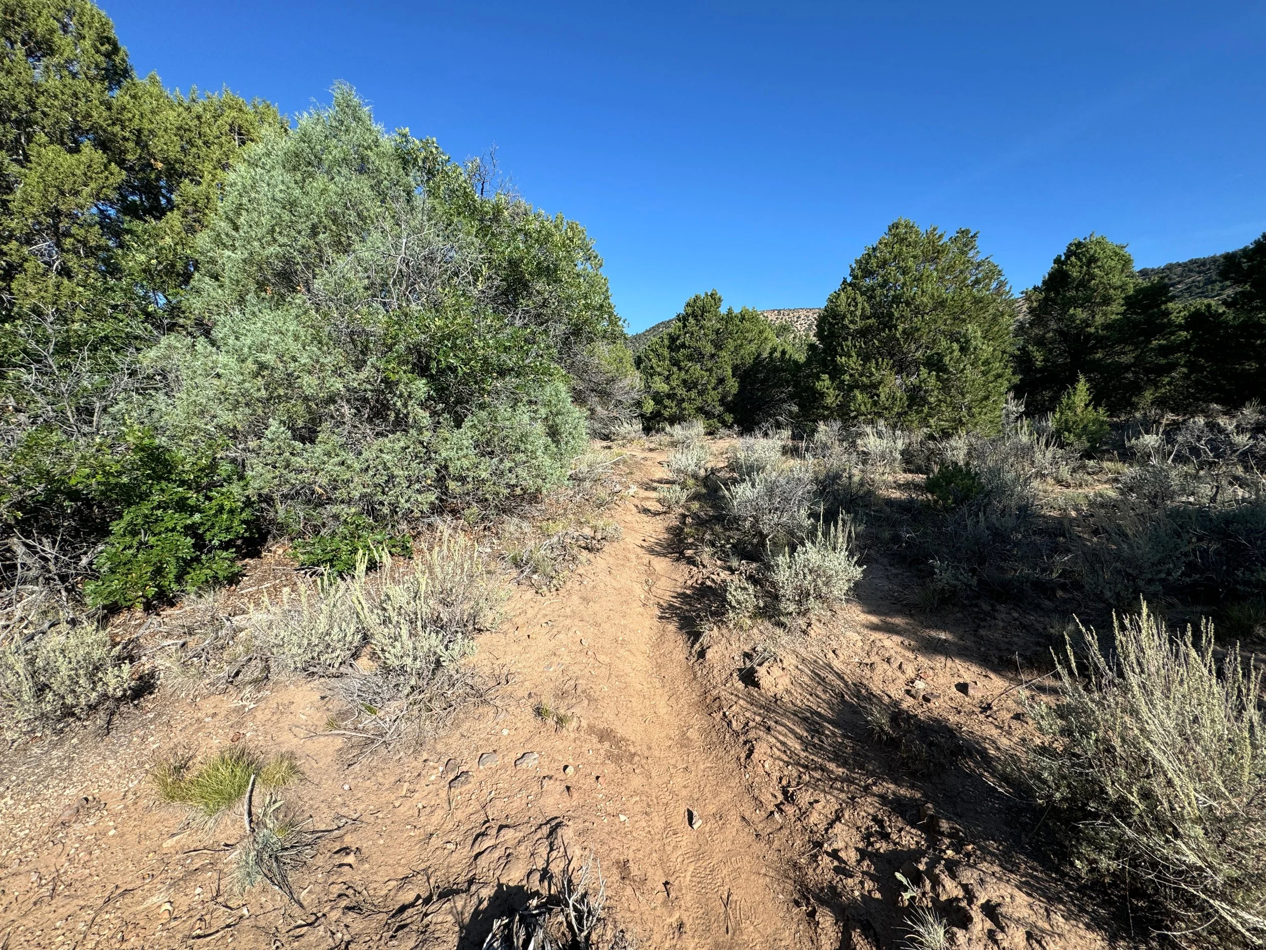 Hiking the Pinyon Draw Trail (S.O.B. Draw) in Black Canyon of the ...