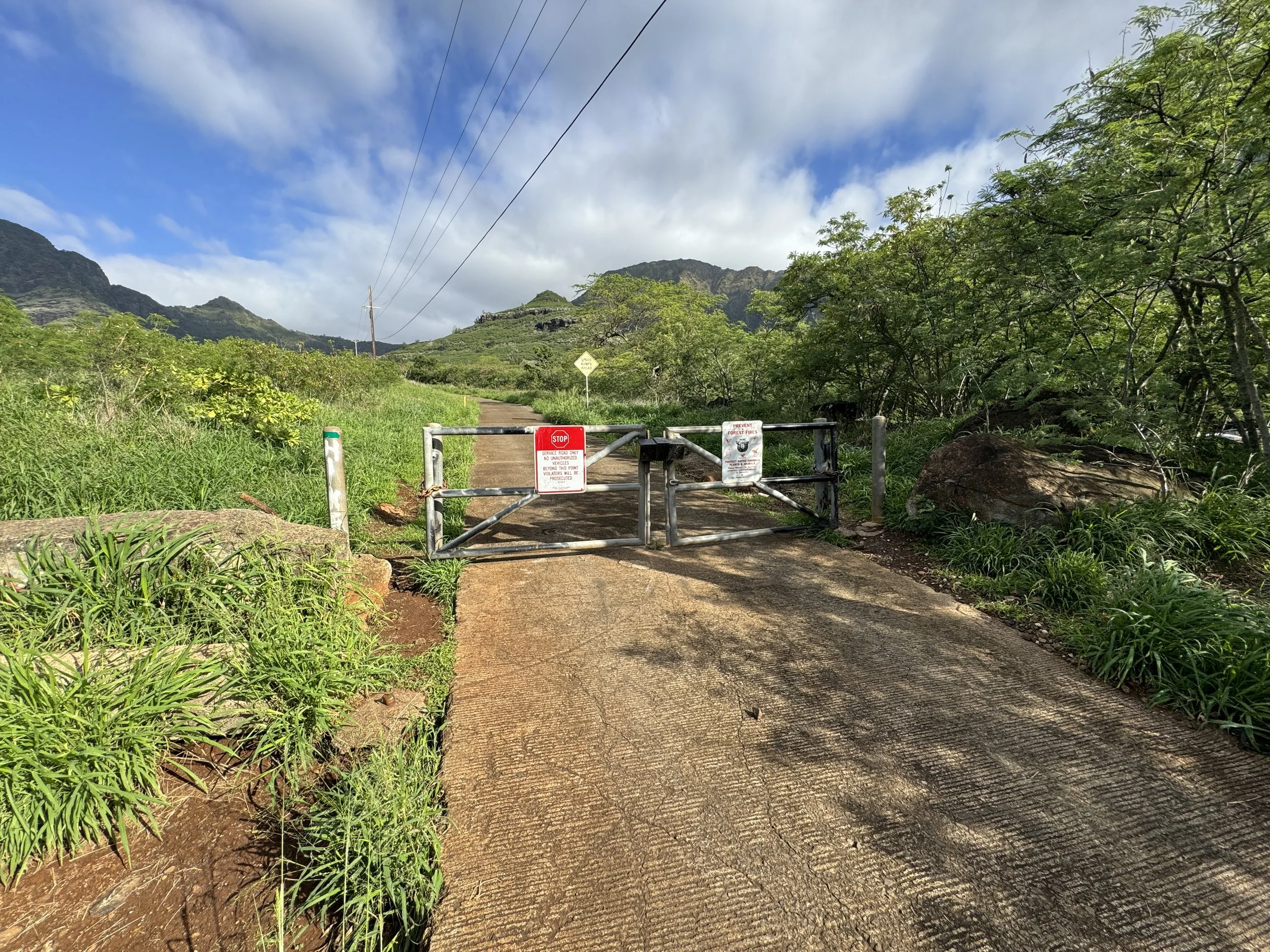 Hiking Mt. Kaʻala: The Tallest Peak on Oʻahu, Hawaiʻi — noahawaii