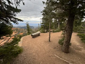 Hiking the Riggs Spring Loop Trail in Bryce Canyon National Park ...