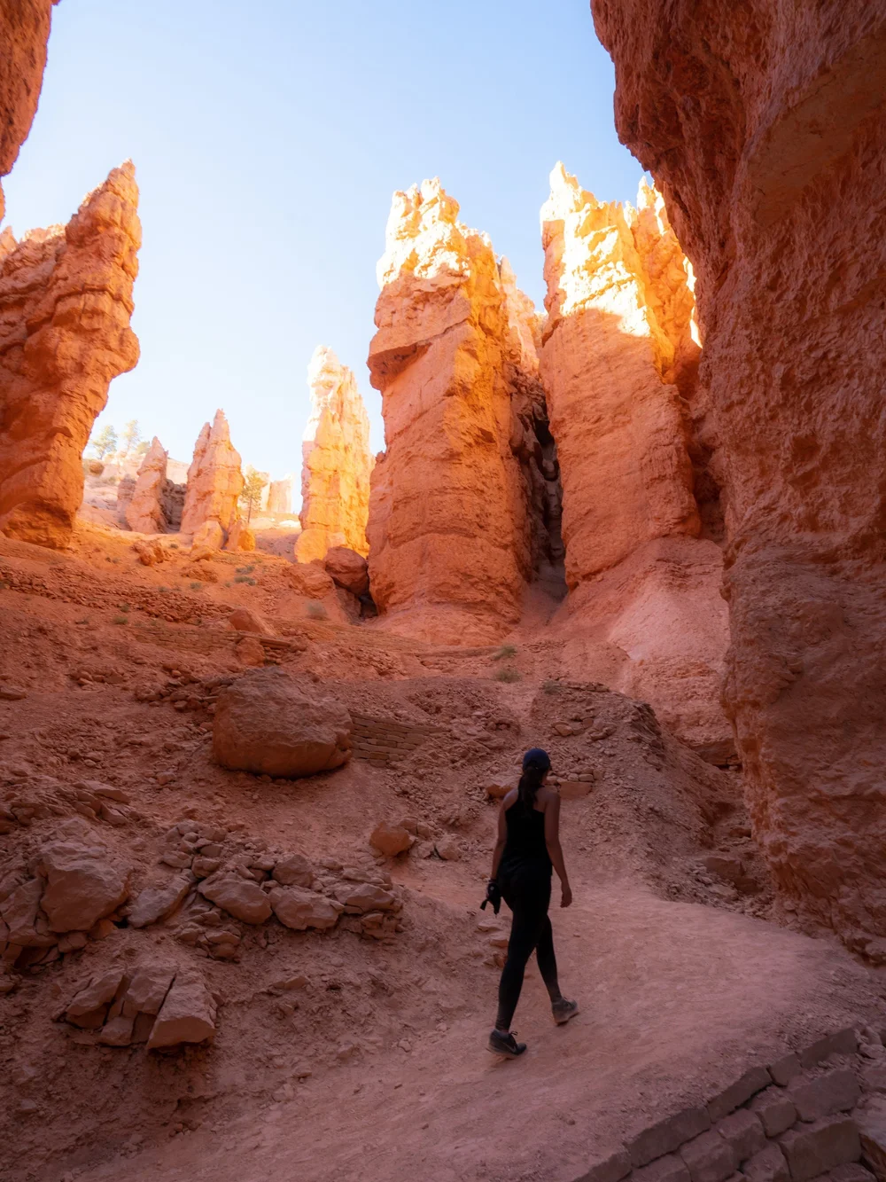 Hiking the Navajo Loop Trail in Bryce Canyon National Park — noahawaii