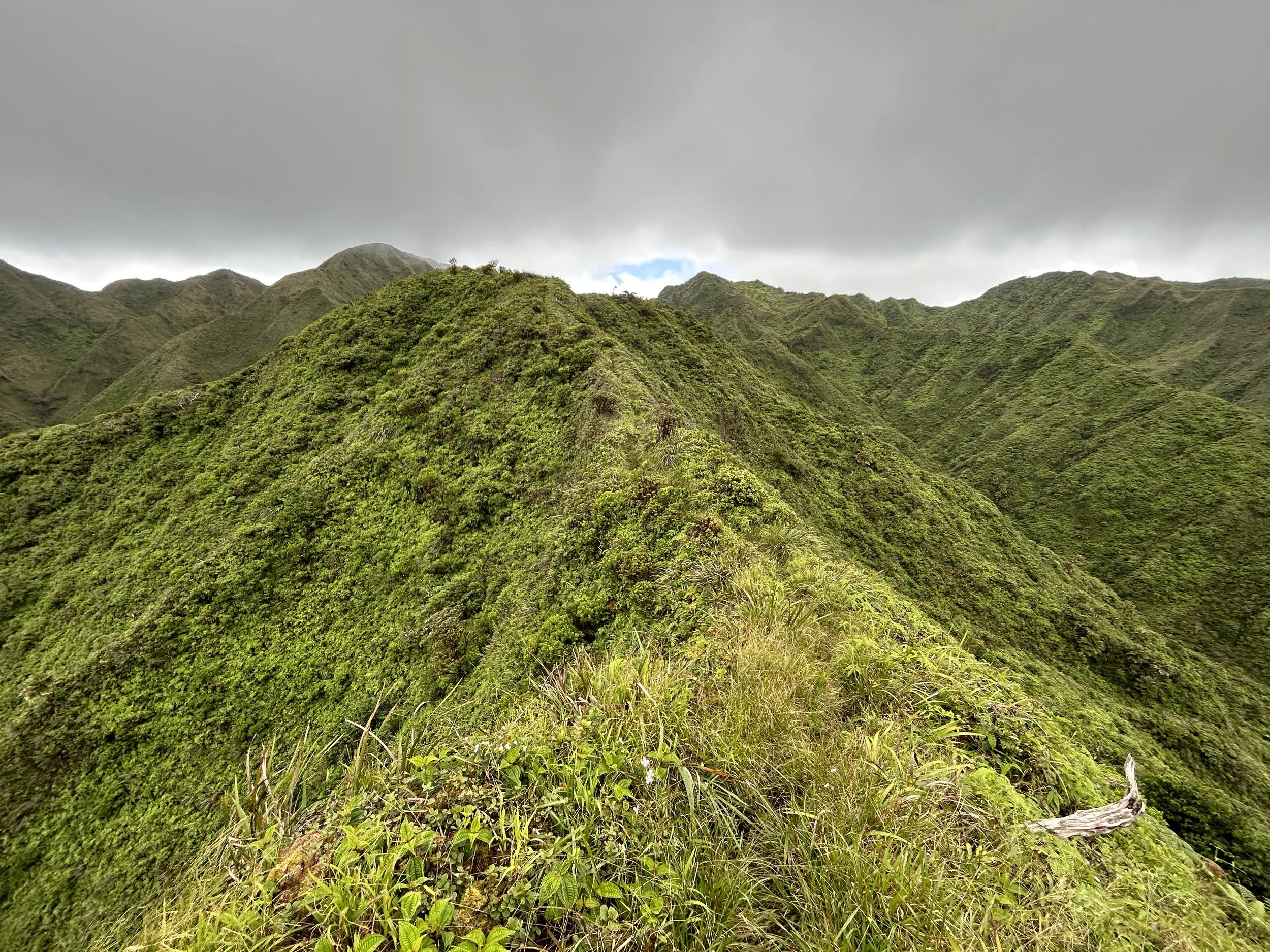 Hiking the Mānana Ridge Trail on Oʻahu — noahawaii