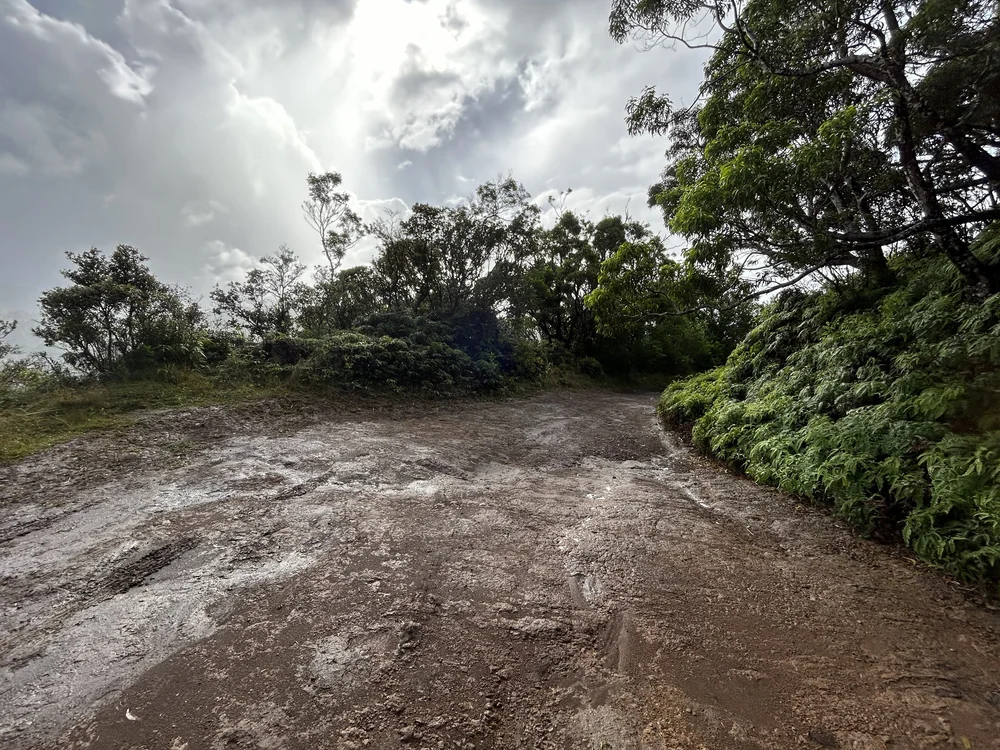 Hiking the Poamoho Trail on Oʻahu, Hawaiʻi — noahawaii