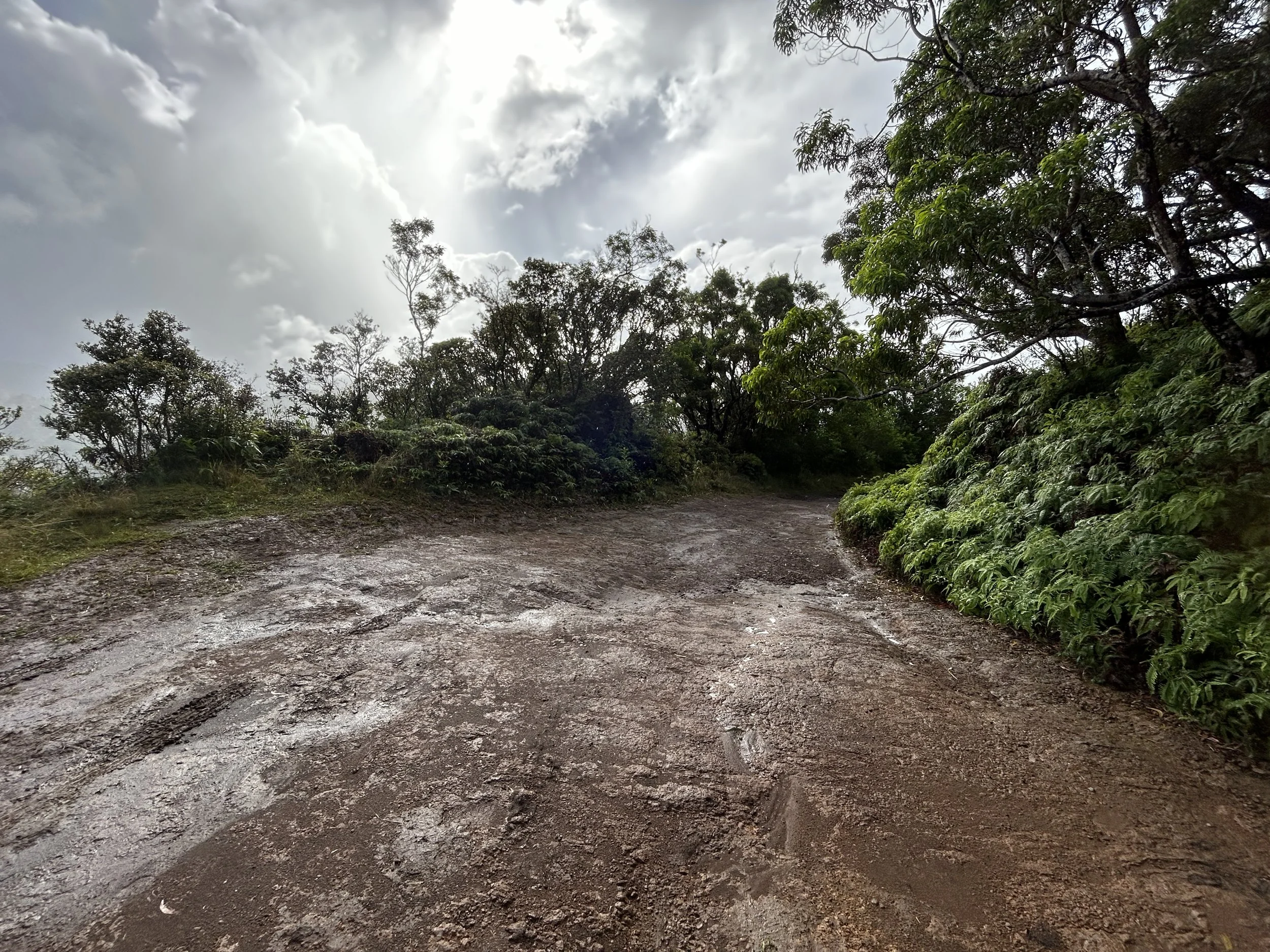 Hiking the Poamoho Trail on Oʻahu, Hawaiʻi — noahawaii