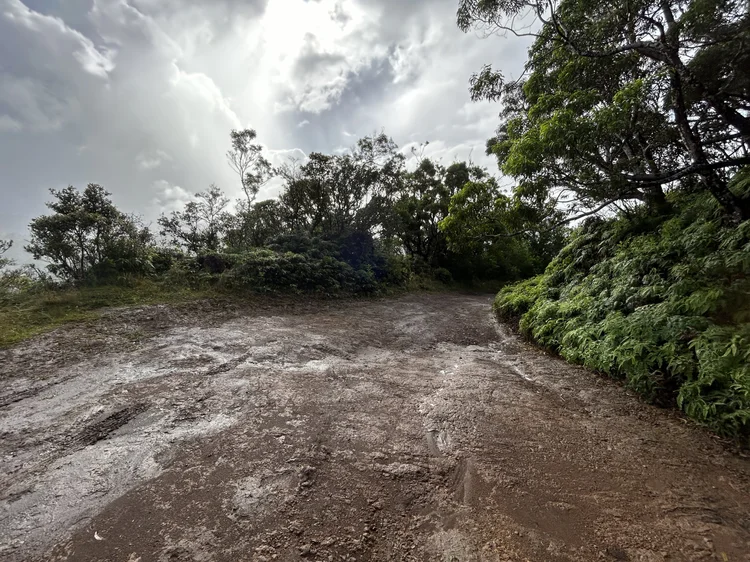 Hiking the Poamoho Trail on Oʻahu, Hawaiʻi — noahawaii