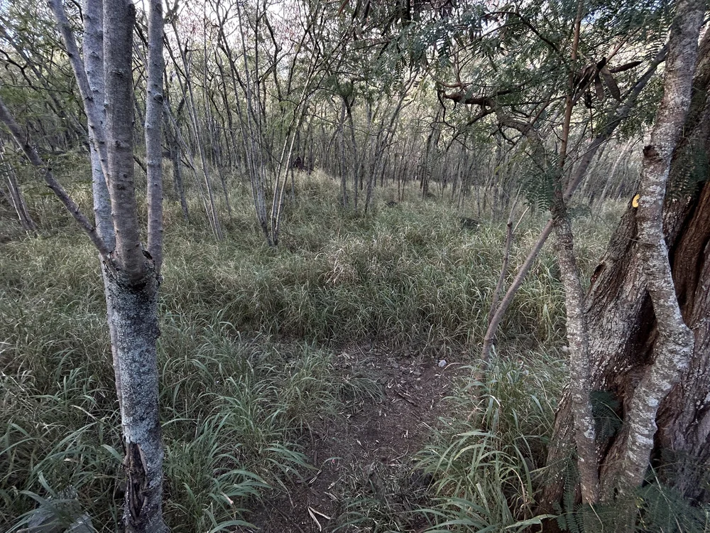 Hiking the Lualualei Lookout Trail on Oʻahu, Hawaiʻi — noahawaii