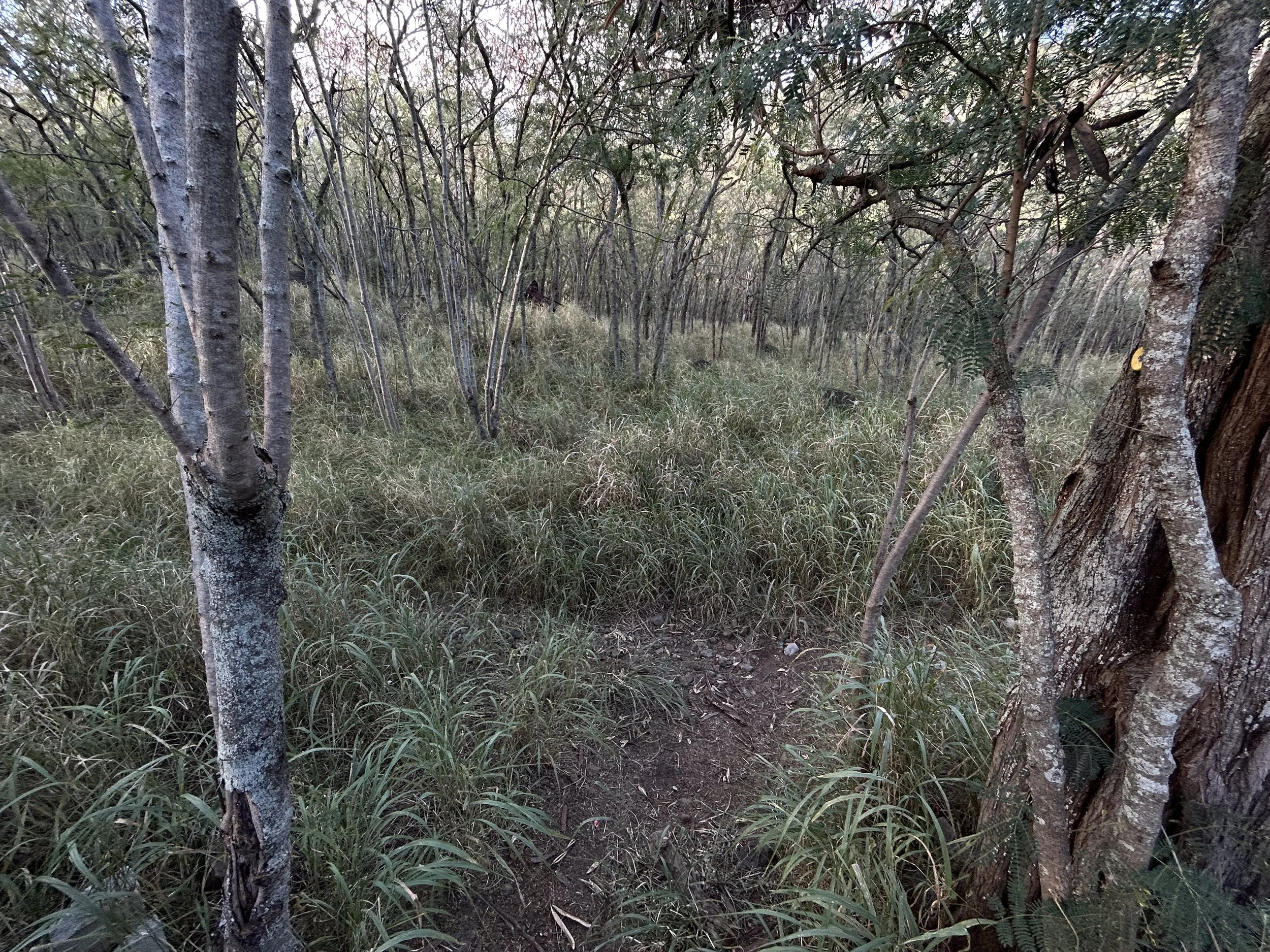 Hiking the Lualualei Lookout Trail on Oʻahu, Hawaiʻi — noahawaii