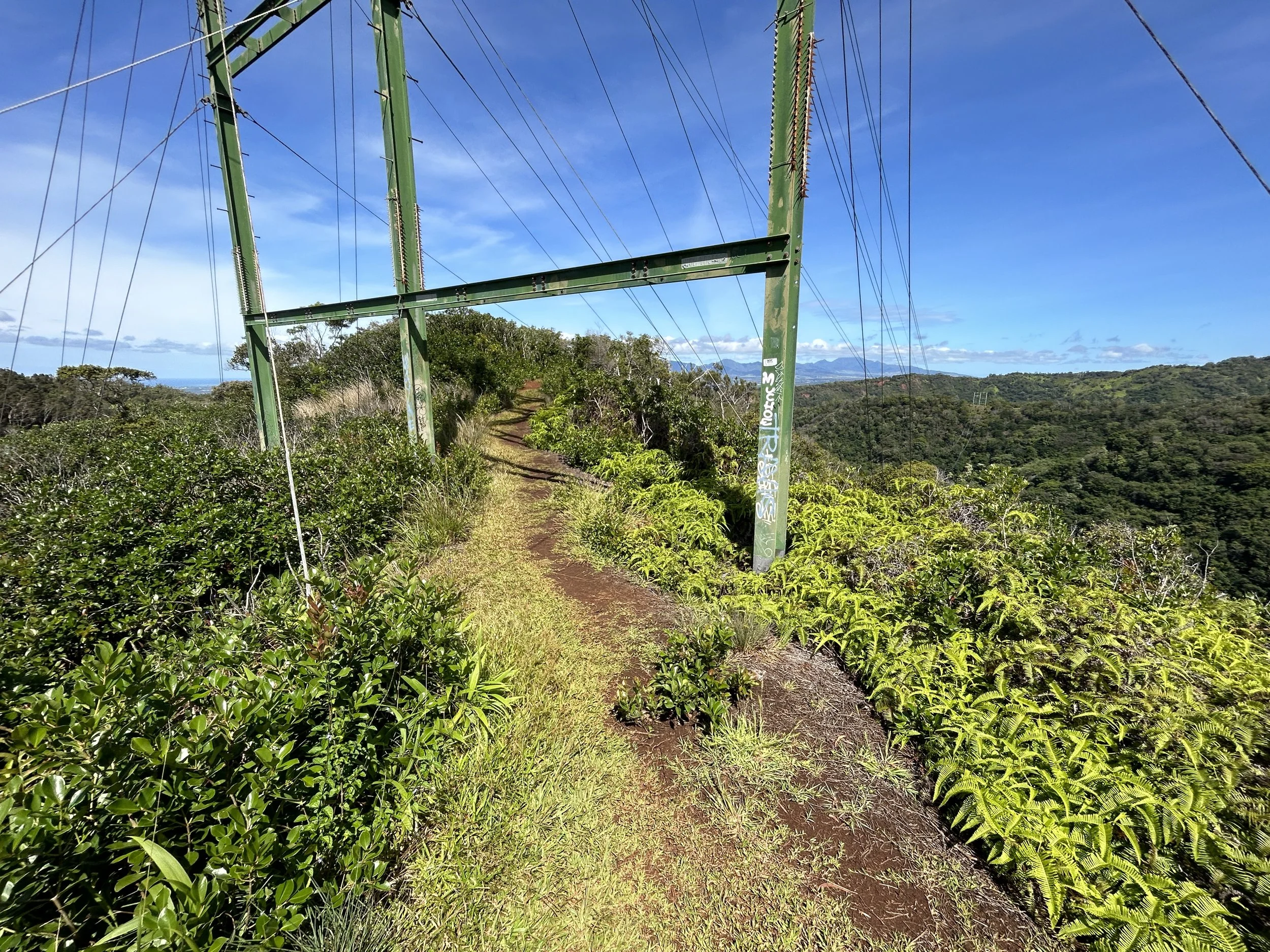 Hiking the Kalauao Falls Loop Trail on Oʻahu, Hawaiʻi — noahawaii