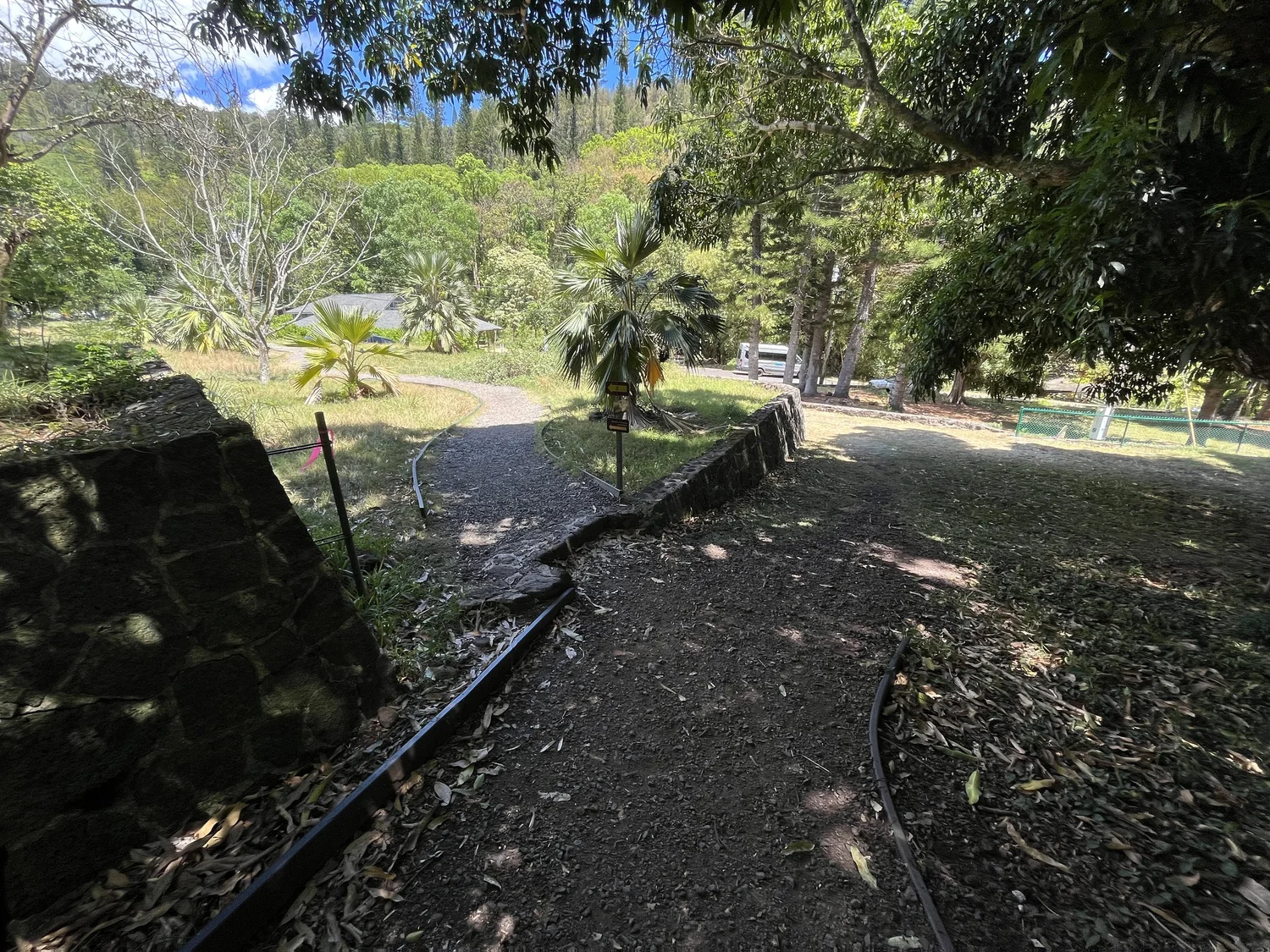 Hiking the Tantalus Loop Trail to the Pauoa Flats Bench on Oʻahu ...