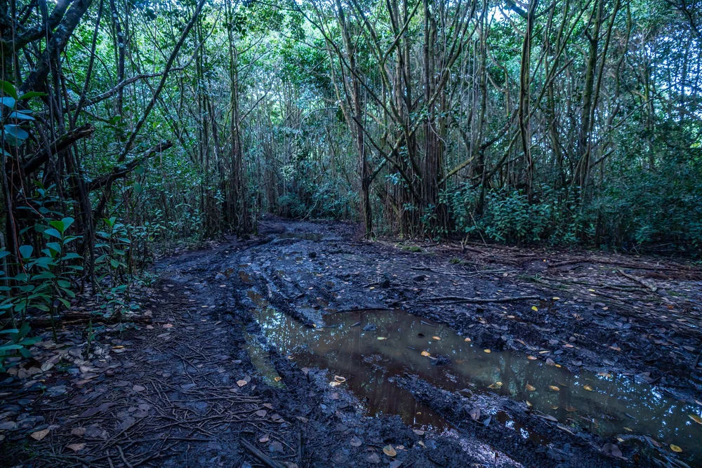 Hiking the Puna Trail to Hāʻena Beach on the Big Island of Hawaiʻi ...