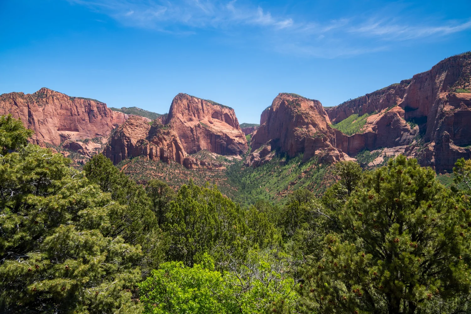 Hiking the Timber Creek Overlook Trail in Zion National Park — noahawaii