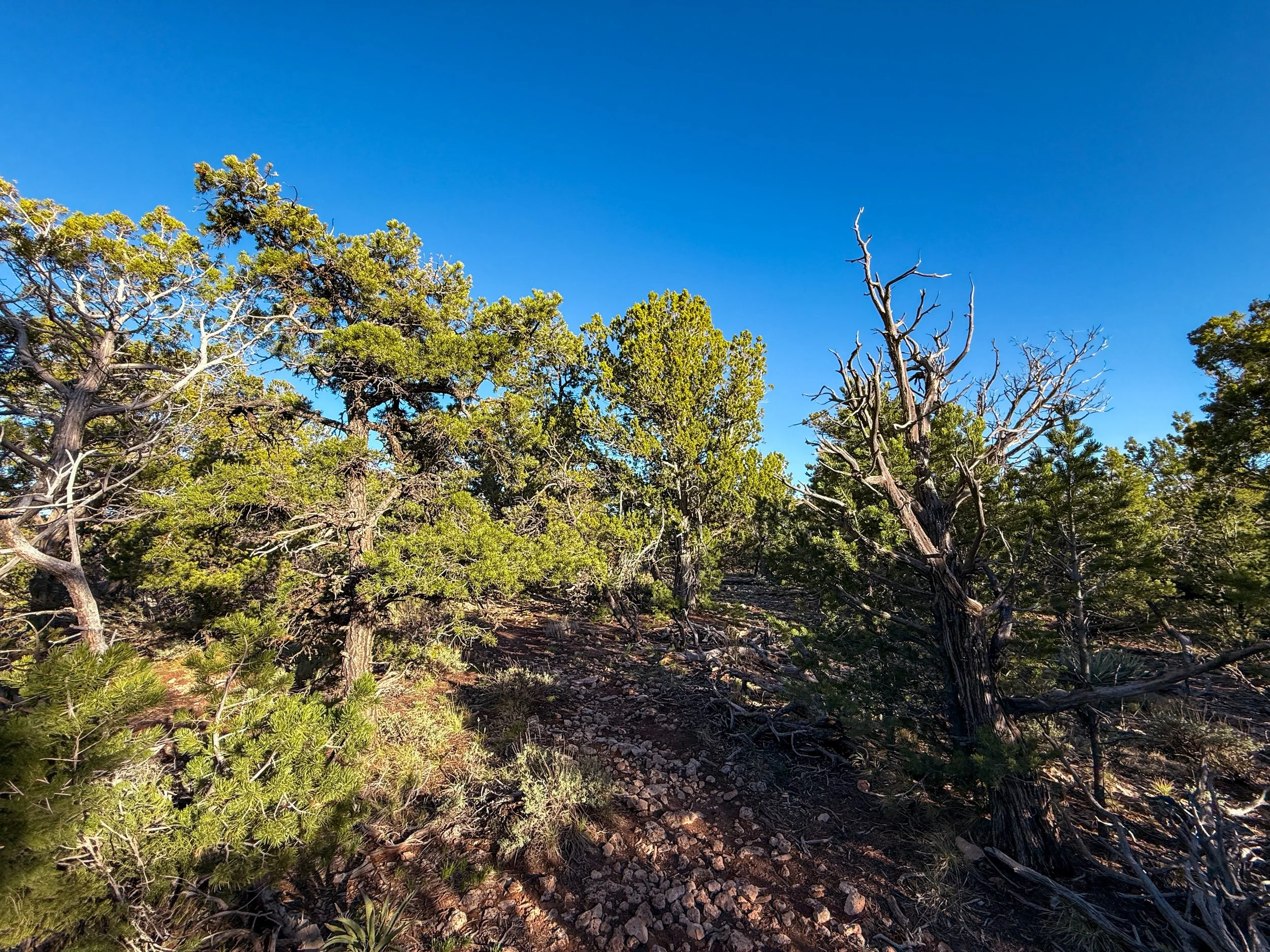Hiking the Duck on a Rock Trail in Grand Canyon National Park — noahawaii