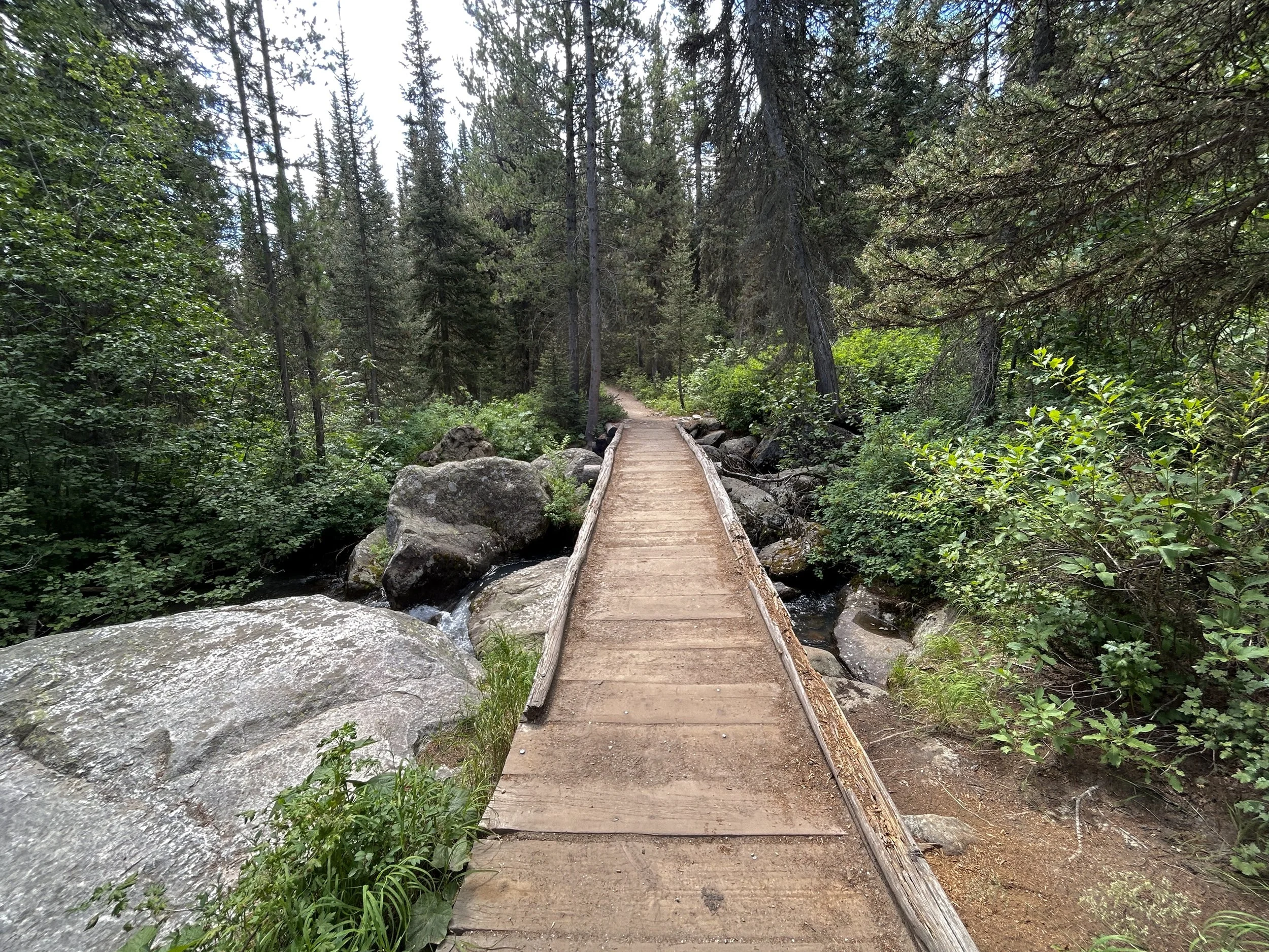Hiking the Surprise and Amphitheater Lakes Trail via Lupine Meadows in ...