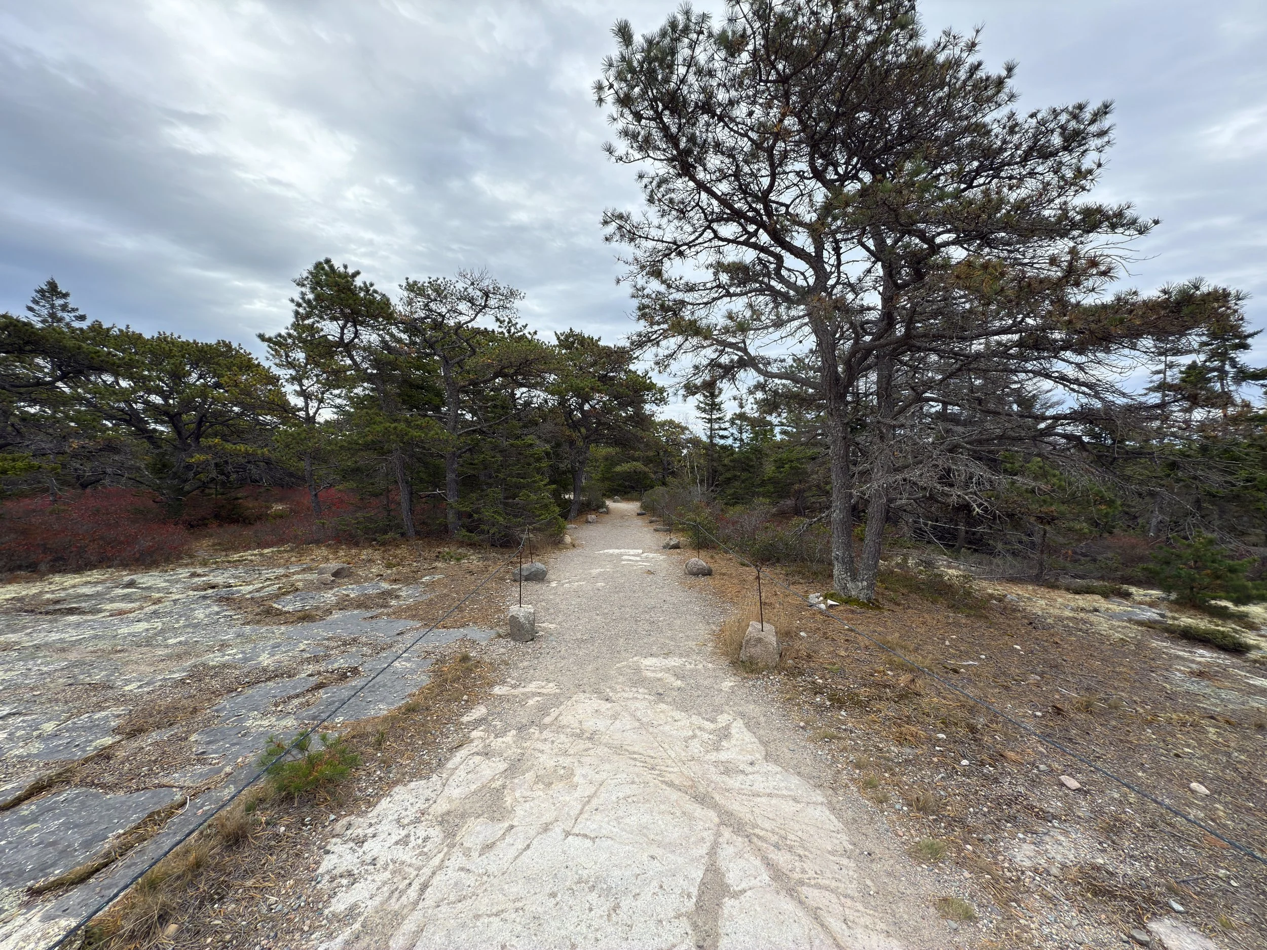 Hiking the Wonderland Trail in Acadia National Park — noahawaii