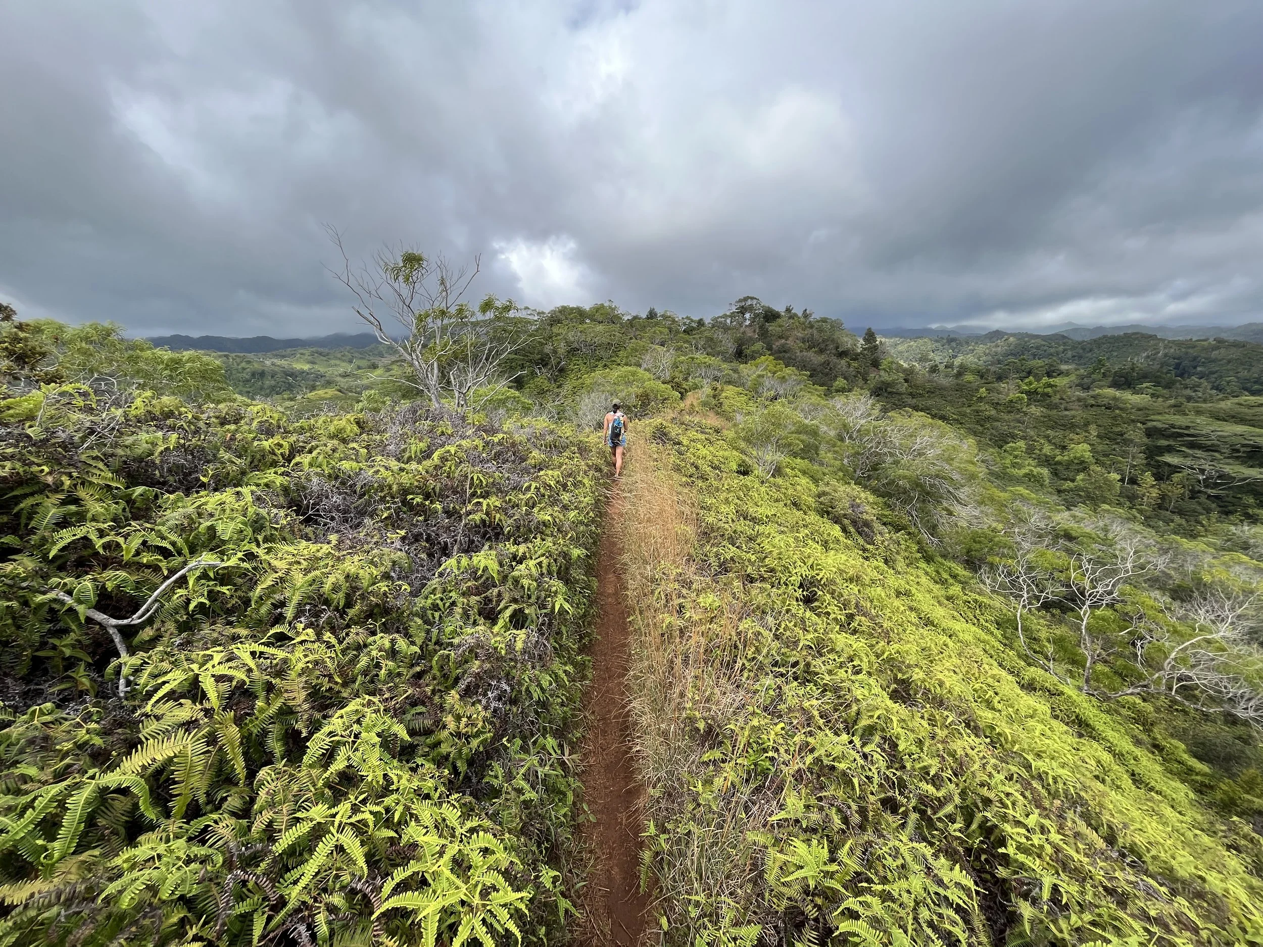 Hiking the ʻIliahi Ridge Trail on Oʻahu — noahawaii