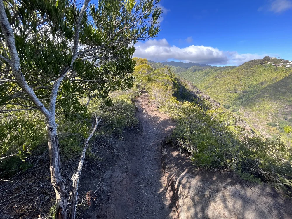 Hiking the Mauʻumae Ridge Trail to Puʻu Lanipō on Oʻahu, Hawaiʻi ...