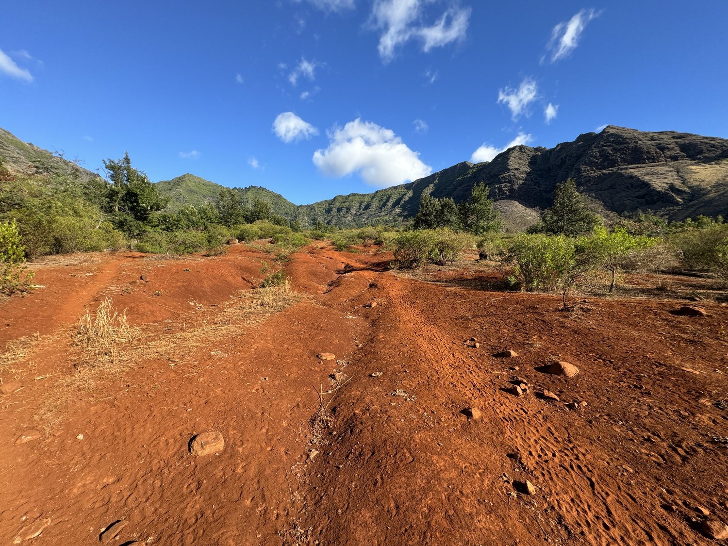 Hiking the Keaʻau Middle Ridge Trail on Oʻahu, Hawaiʻi — noahawaii