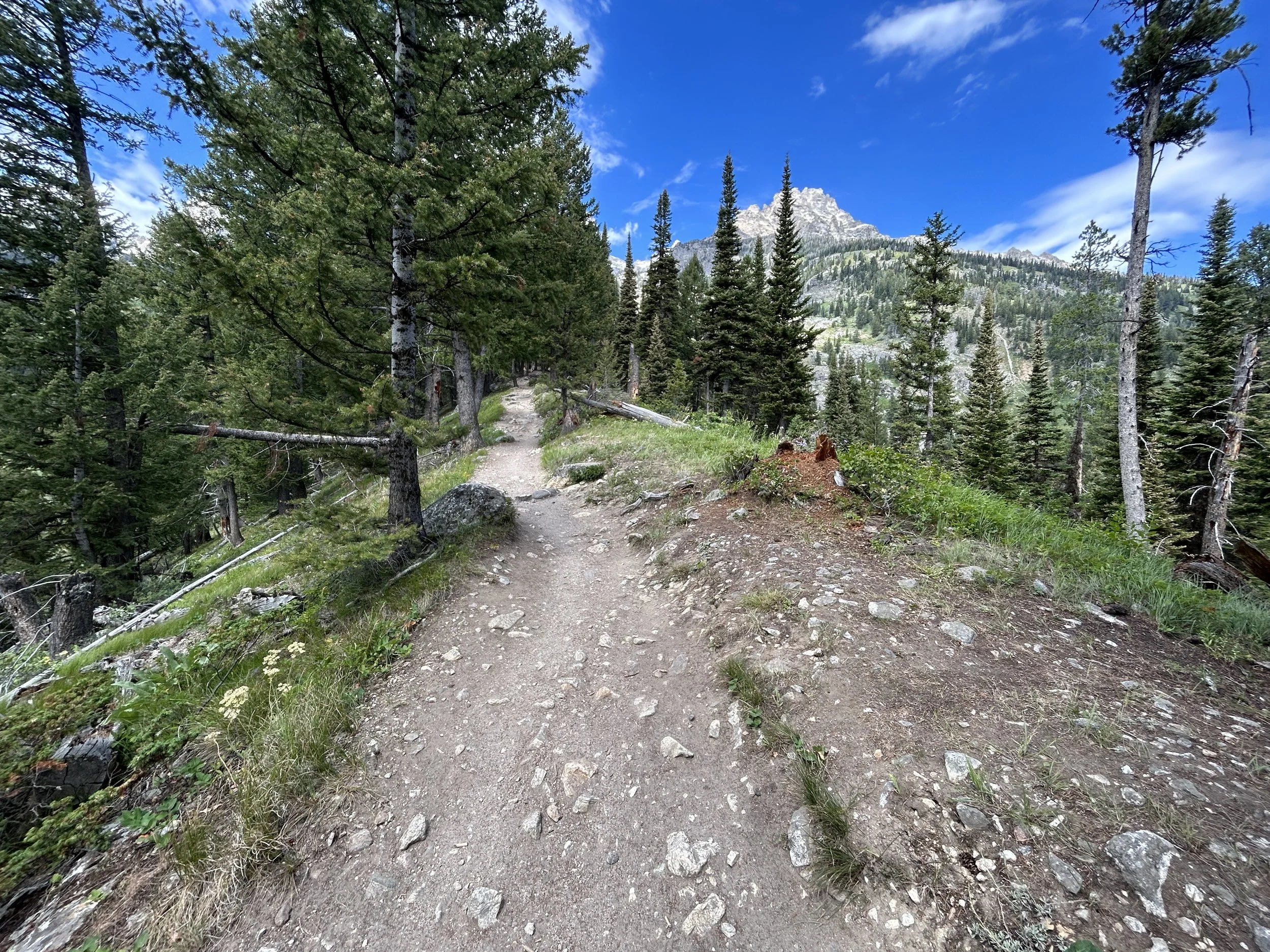 Hiking the Delta Lake Trail via Lupine Meadows in Grand Teton National ...