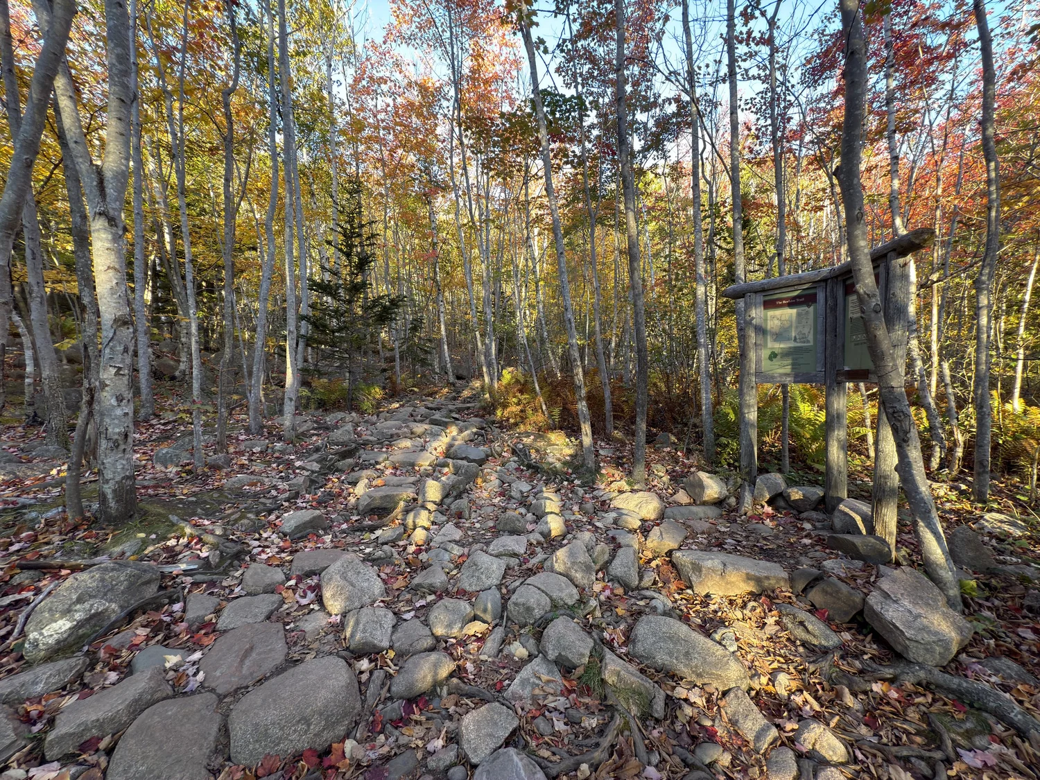 Hiking the Beehive Trail in Acadia National Park — noahawaii