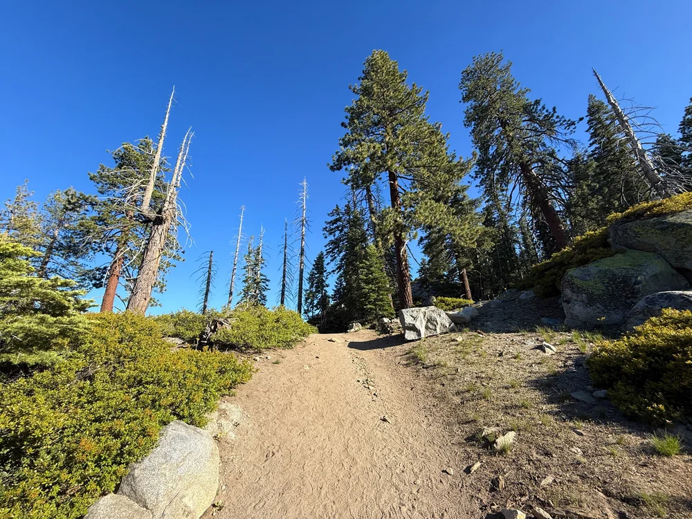 Hiking the Panorama Trail (Illilouette Falls & Panorama Point) in ...