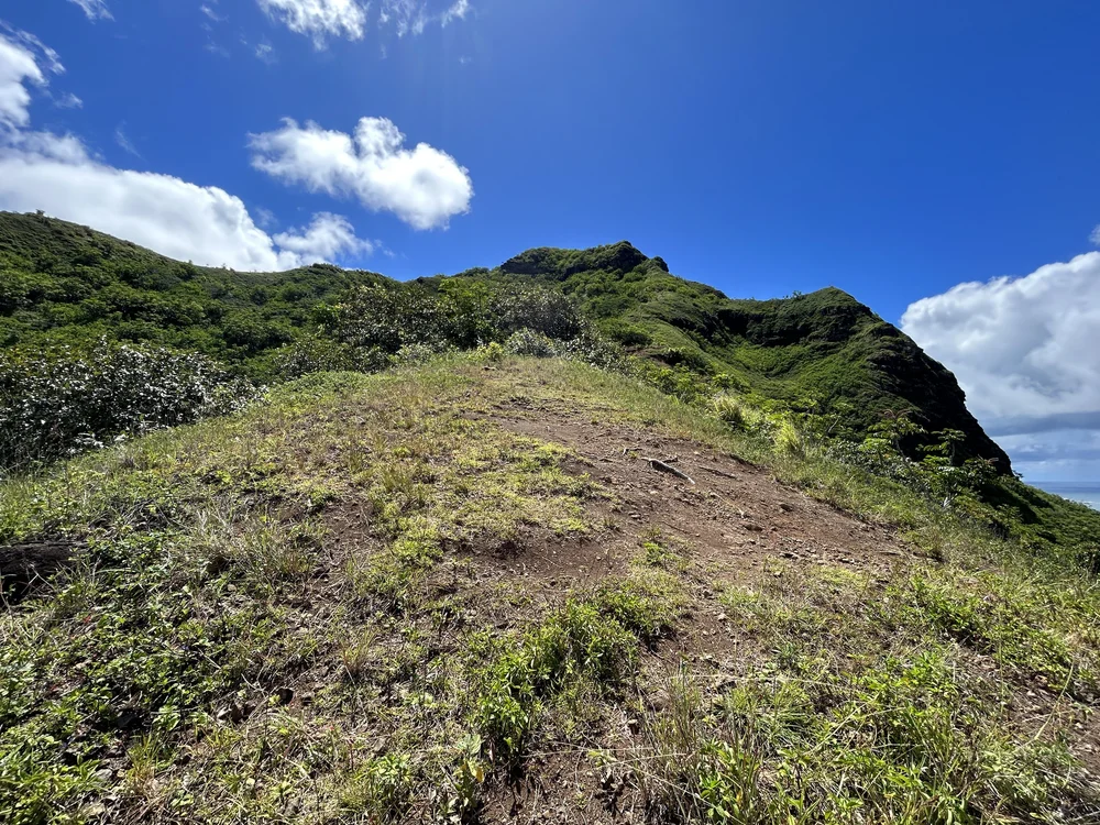 Hiking the Puʻu Piei Trail on Oʻahu, Hawaiʻi — noahawaii