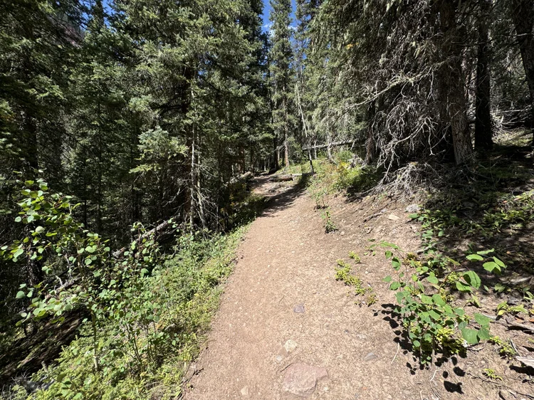 Hiking the Ice & Island Lake Trail in Silverton, Colorado — noahawaii