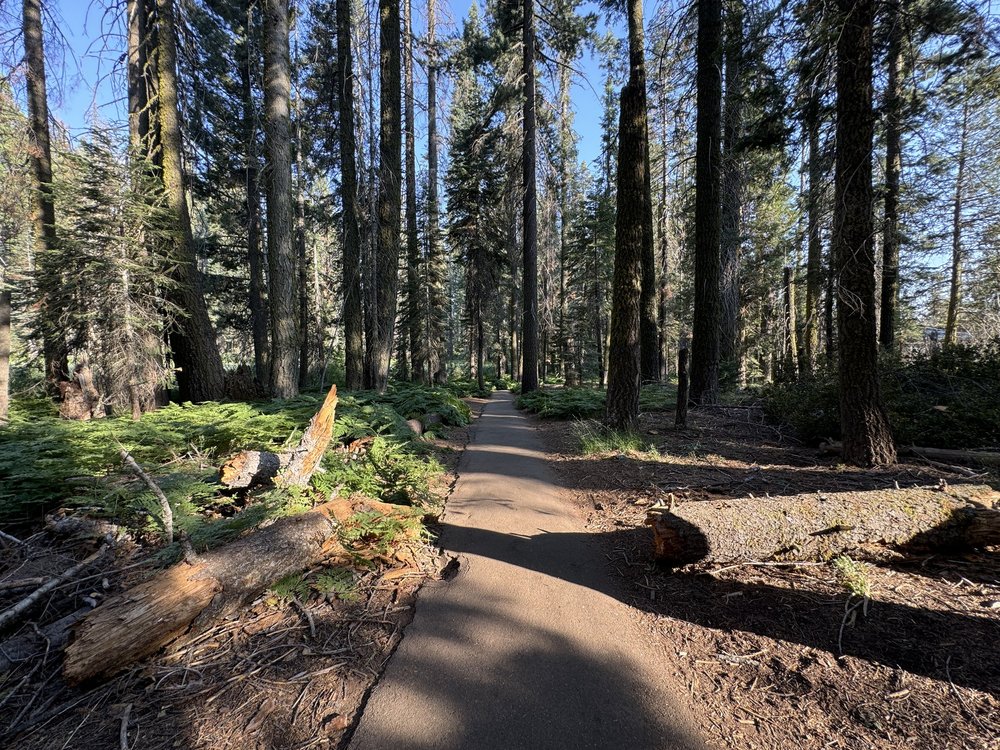 Hiking the Crescent Meadow Loop Trail in Sequoia National Park — noahawaii