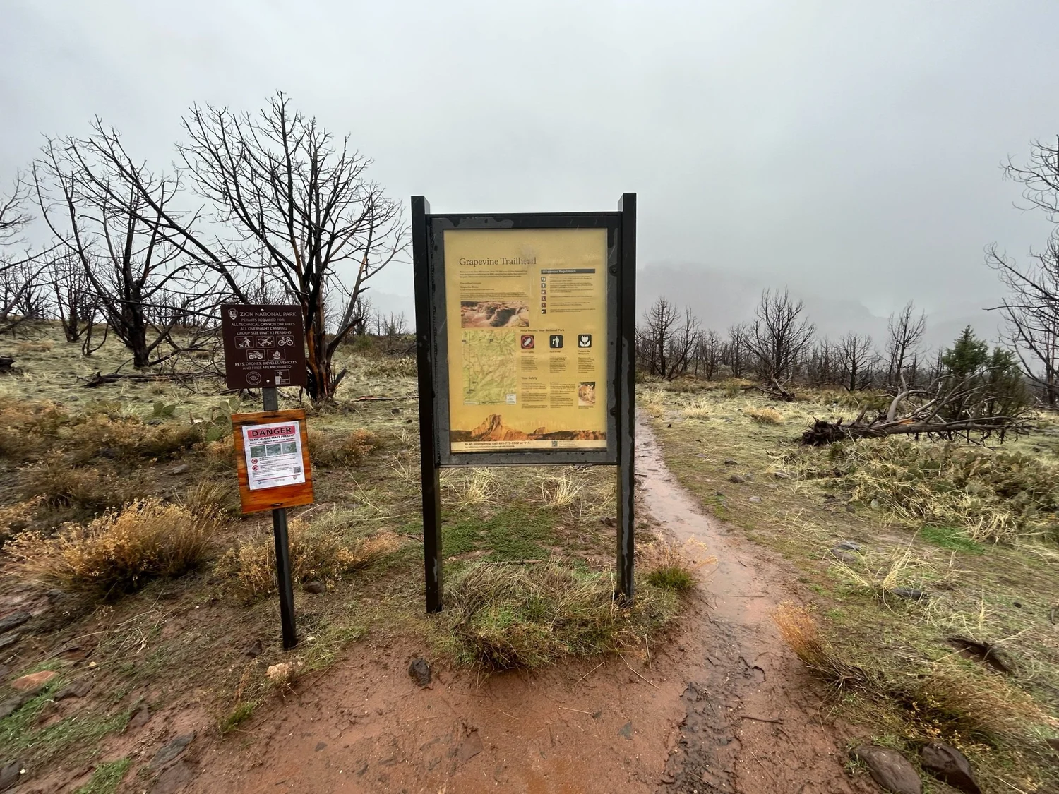 Hiking the Grapevine Trail to Left Fork Falls in Zion National Park ...