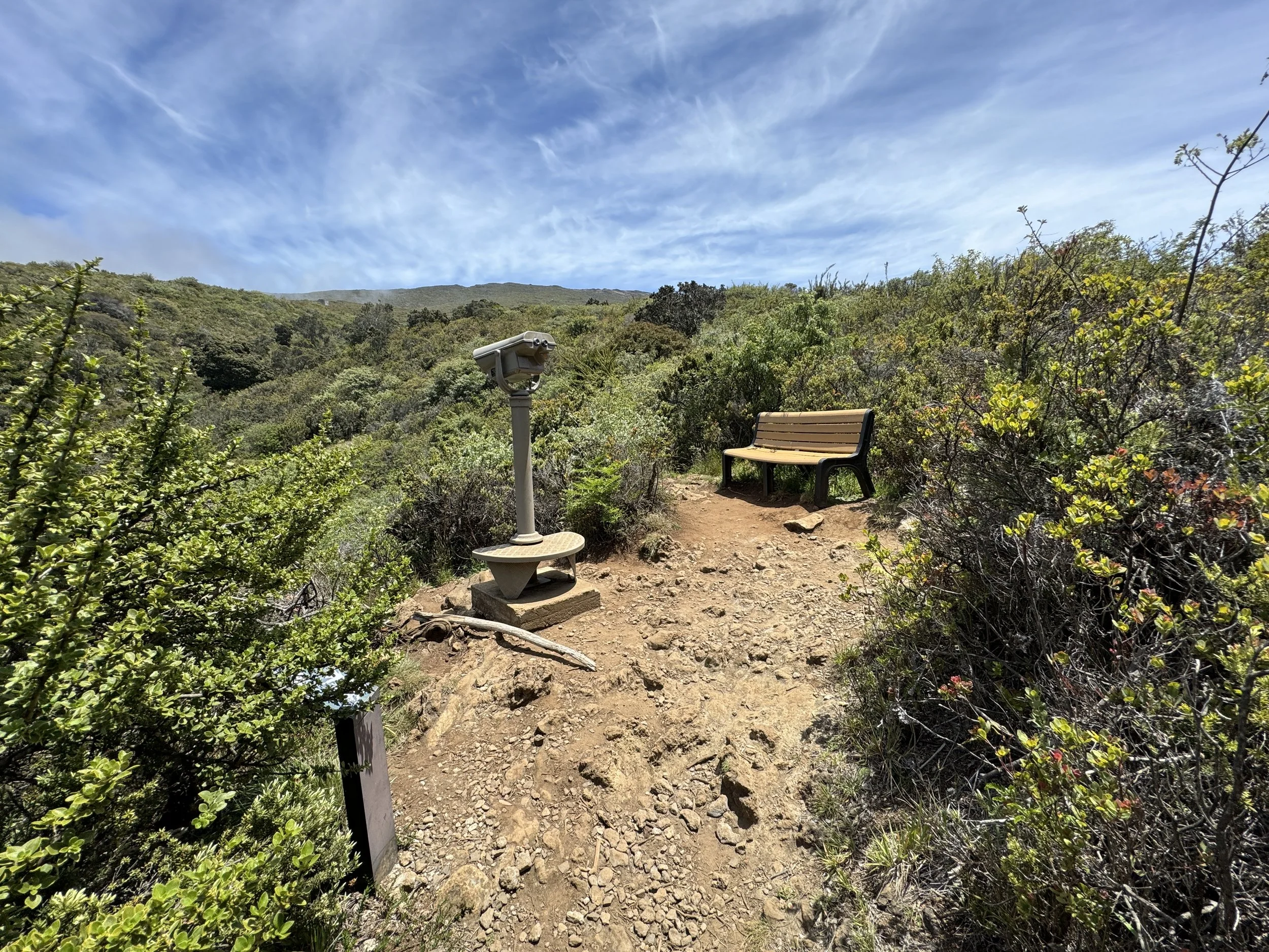 Hiking the Hosmer Grove Trail in Haleakalā National Park on Maui ...