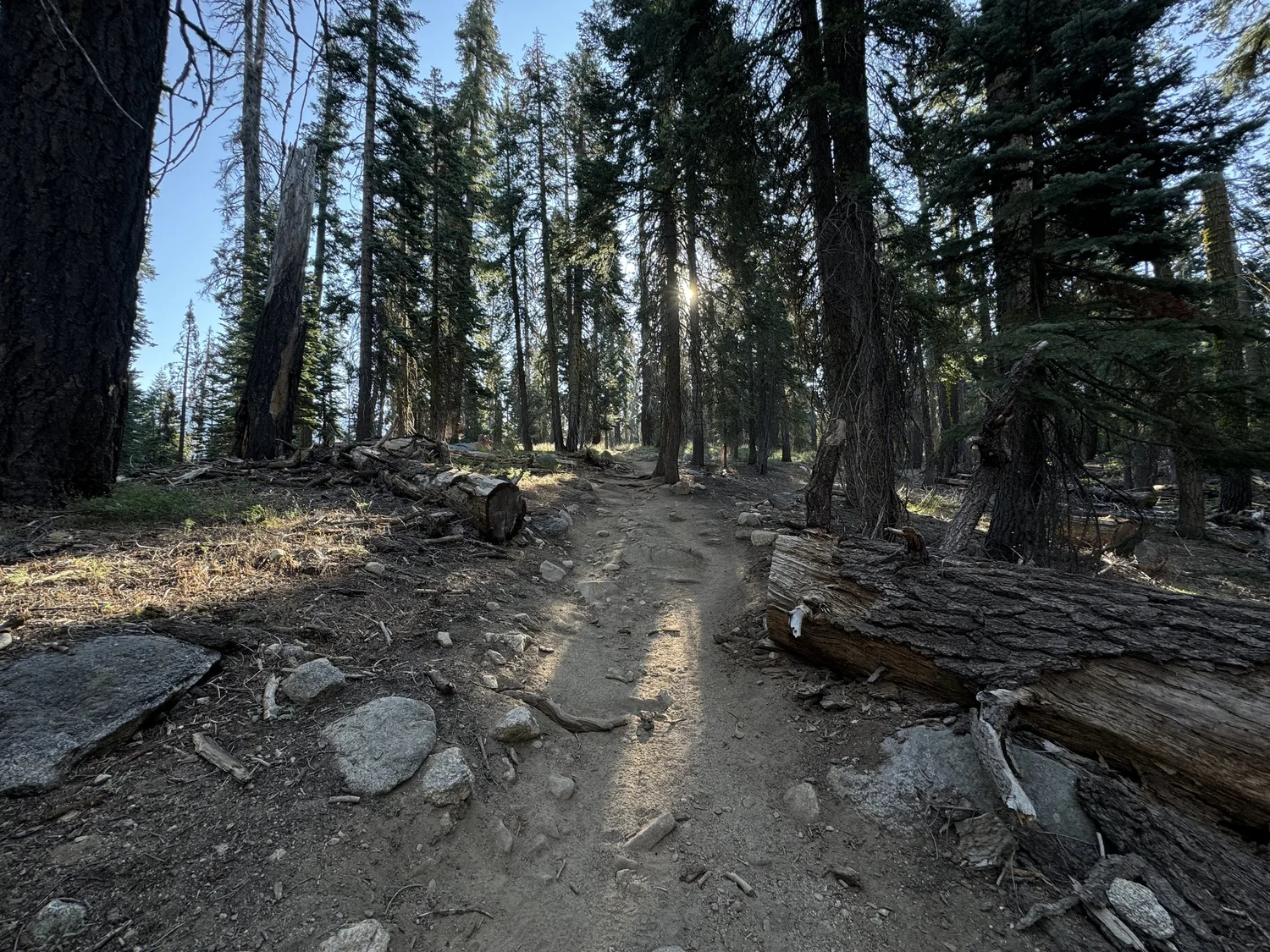 Hiking the Long Meadow Loop Trail in Sequoia National Park — noahawaii