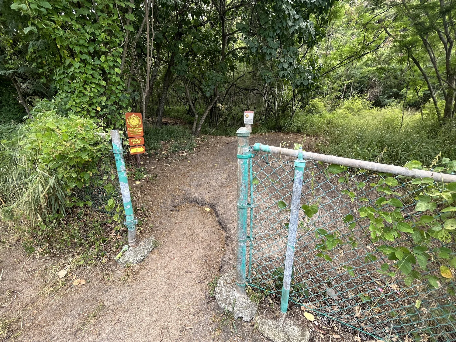 Hiking the Keālia Trail on Oʻahu's North Shore — noahawaii