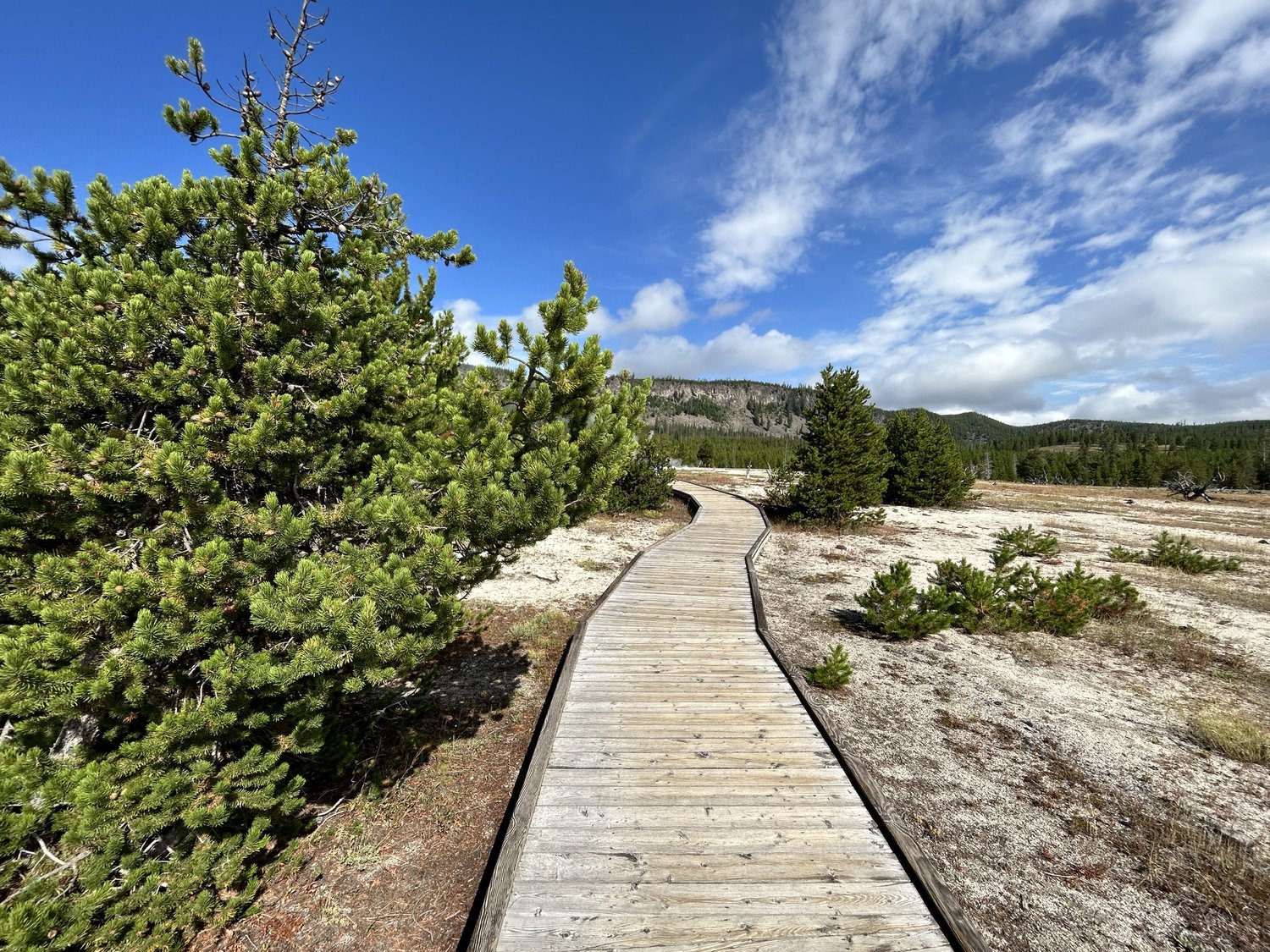 Hiking the Mystic Falls Trail (Little Firehole Loop) in Yellowstone ...