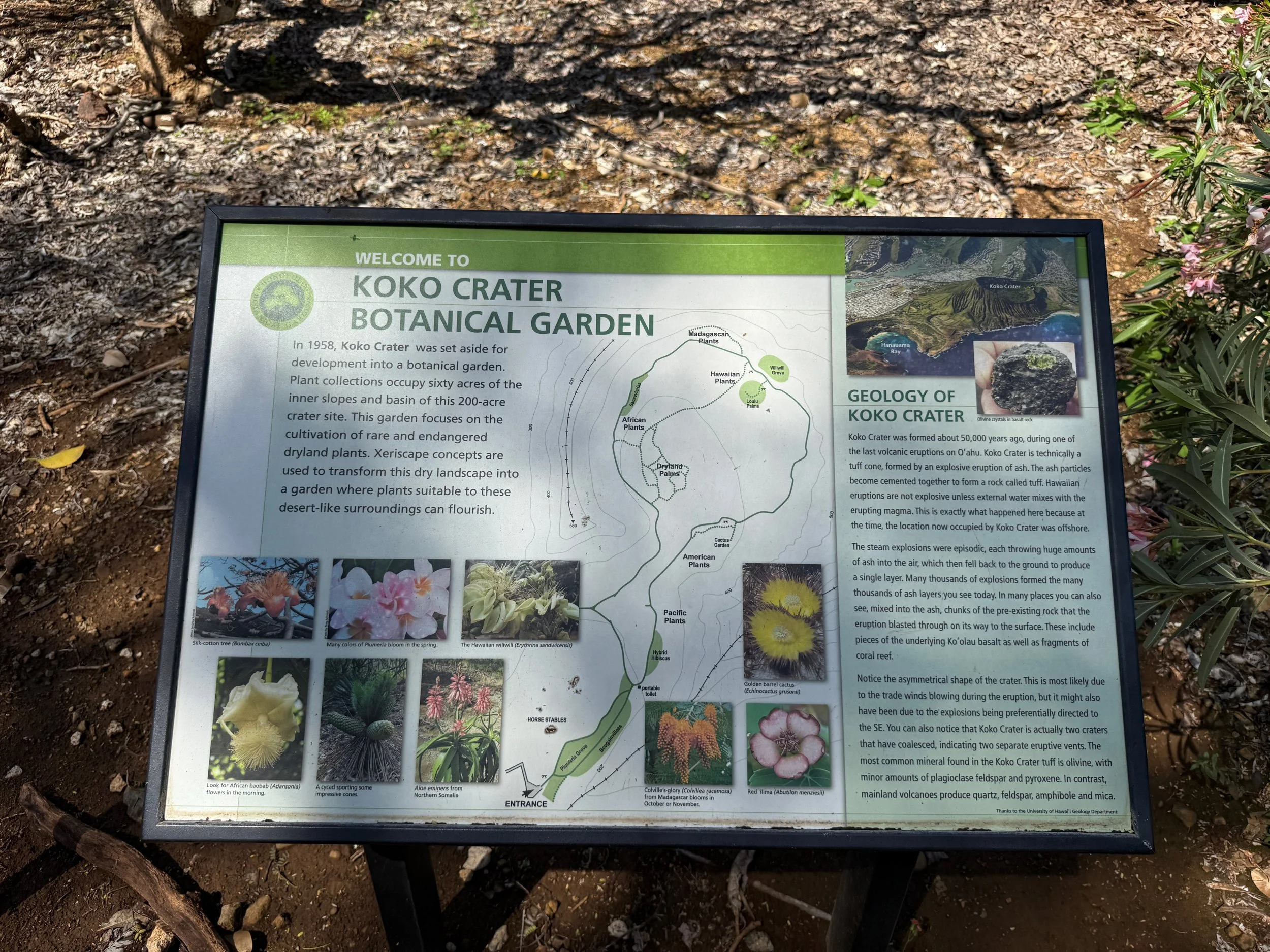 Hiking the Koko Crater Botanical Garden Loop Trail on Oʻahu, Hawaiʻi ...