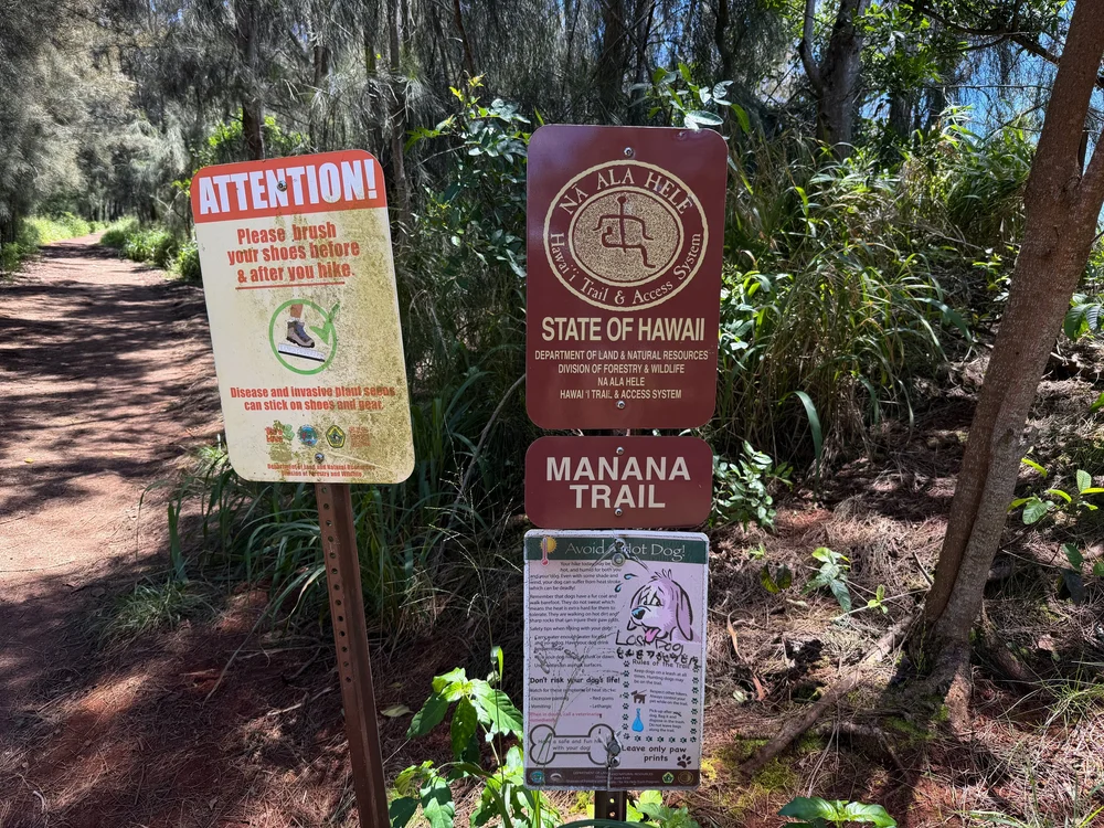 Hiking the Waimano Falls Trail on Oʻahu, Hawaiʻi — noahawaii