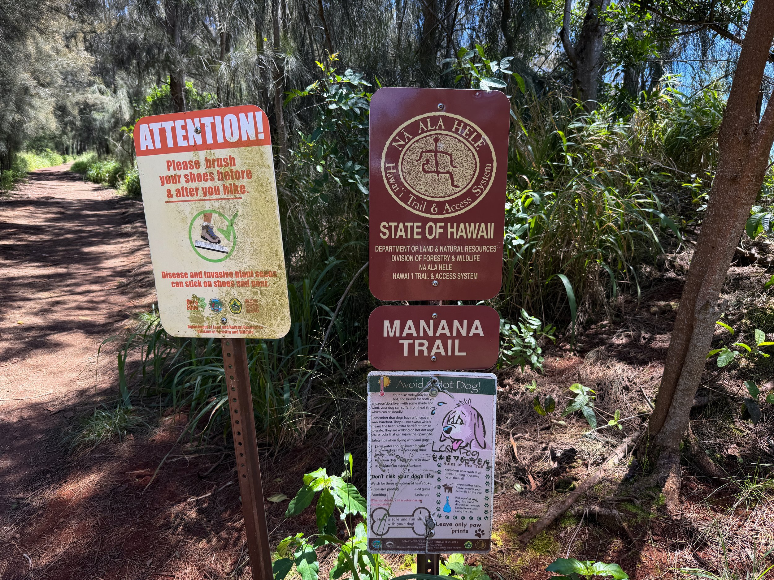 Hiking the Waimano Falls Trail on Oʻahu, Hawaiʻi — noahawaii
